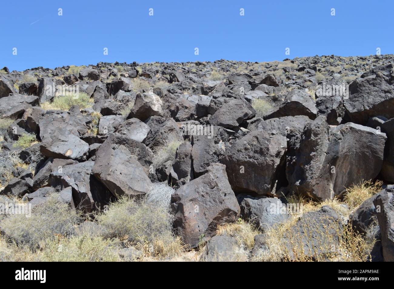 Petrified National Forest Field Desert Stock Photo - Alamy