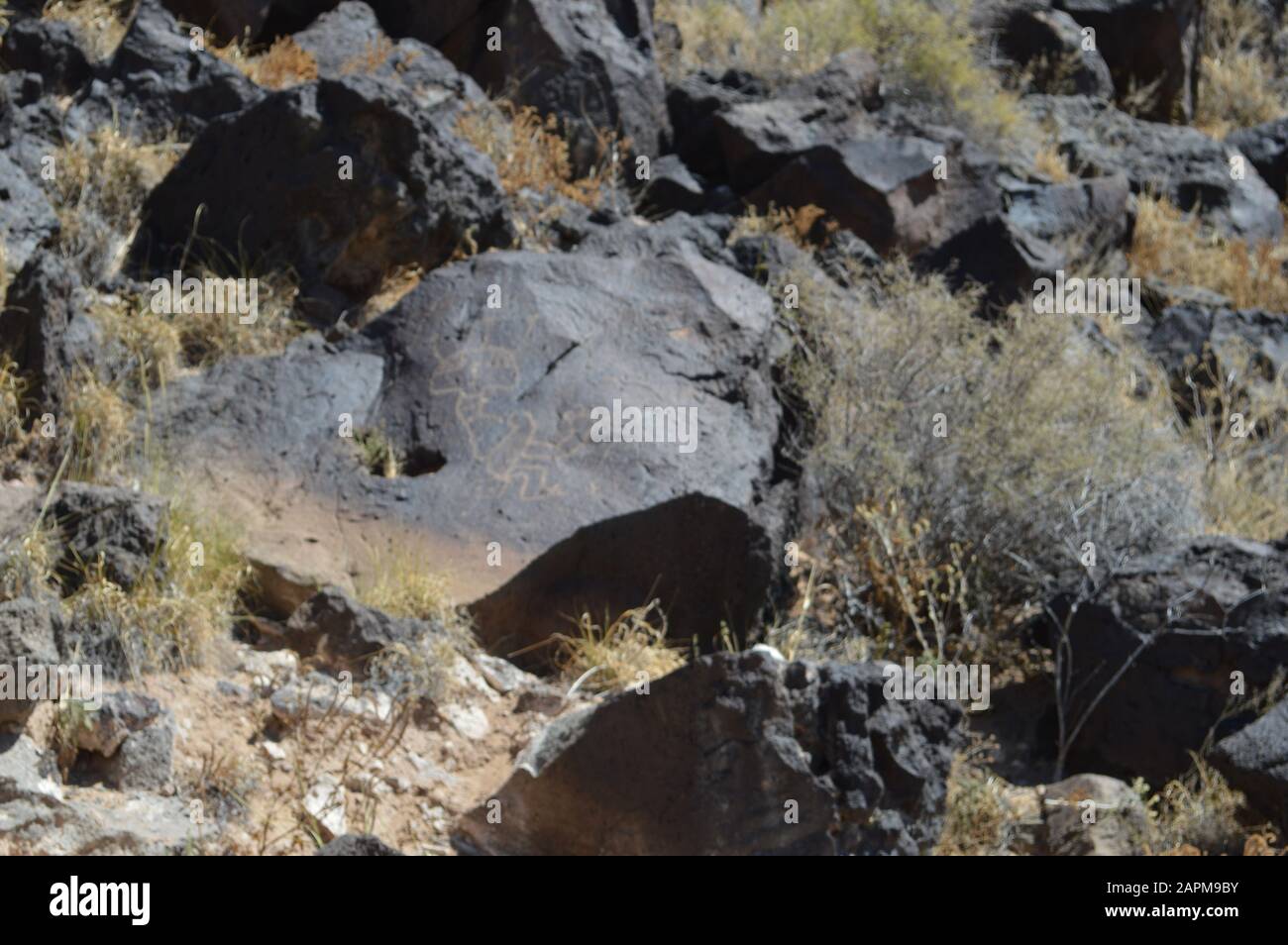Petrified National Forest Boulder Field Stock Photo - Alamy