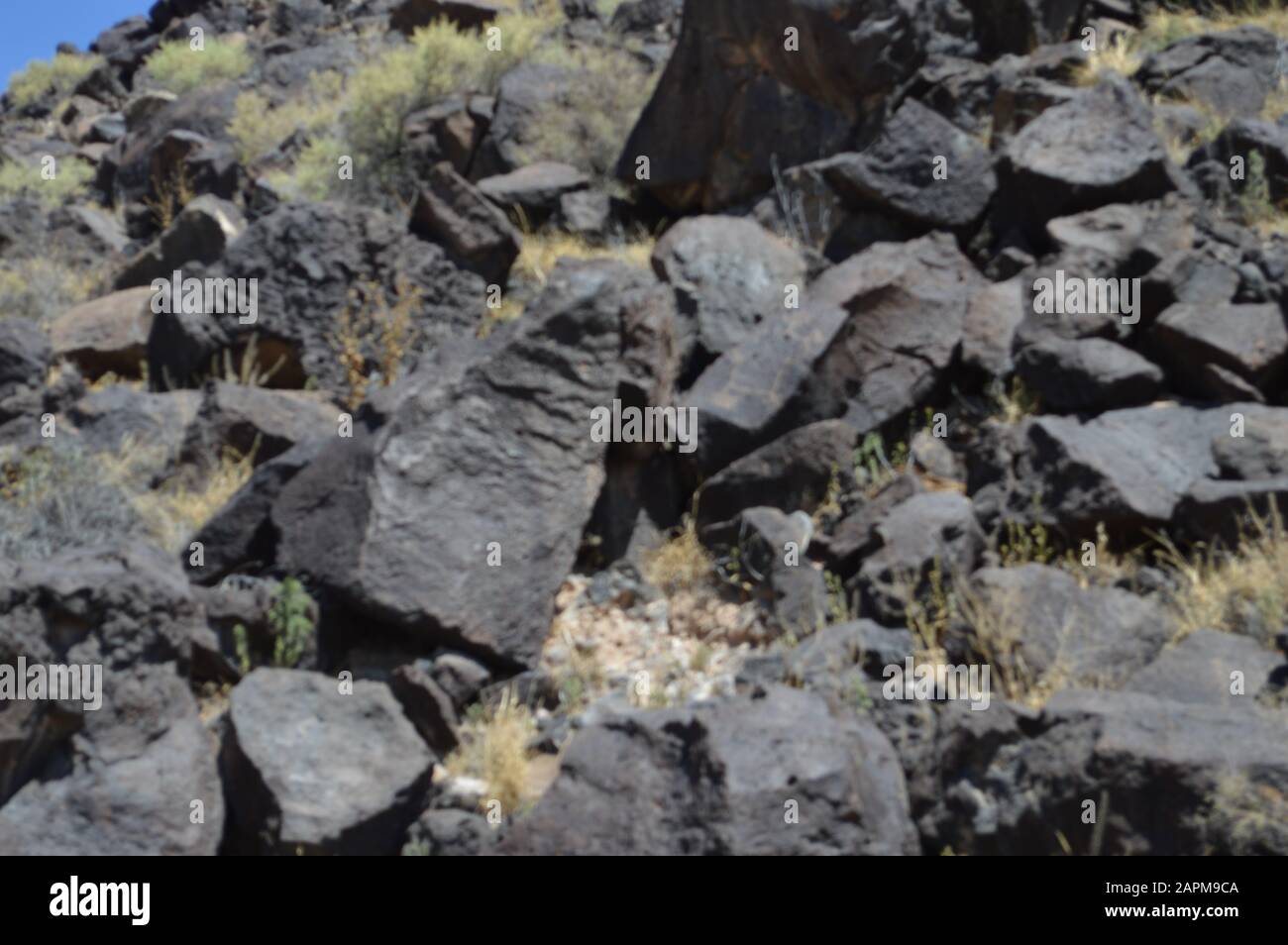 Petrified National Forest Boulder Field Stock Photo - Alamy