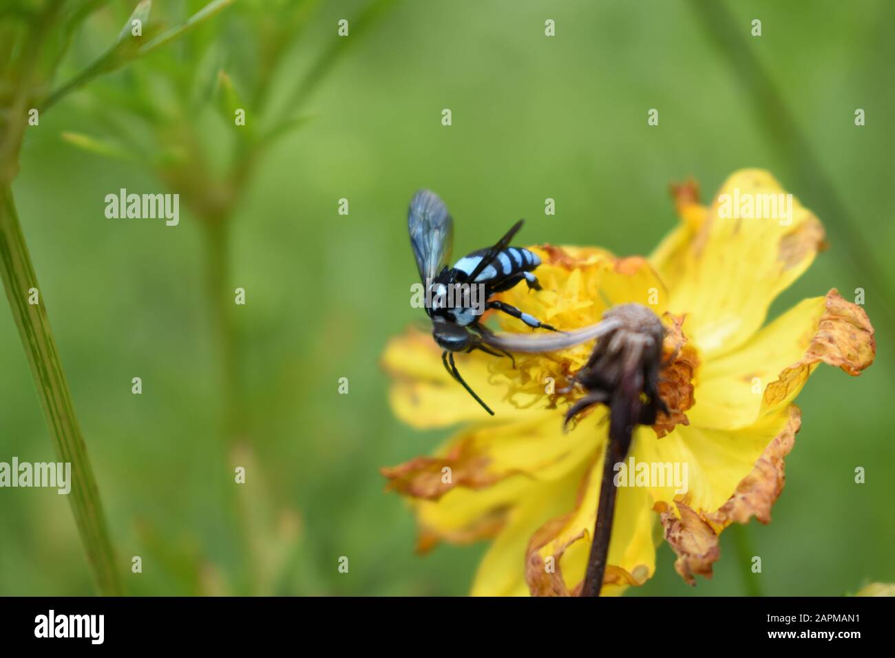 Neon nest hi-res stock photography and images - Alamy