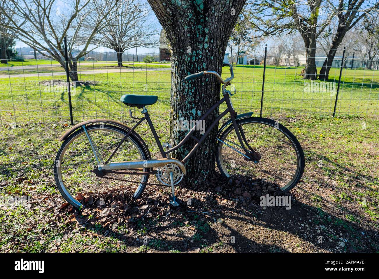 Bicycle leaning against tree hi-res stock photography and images - Alamy