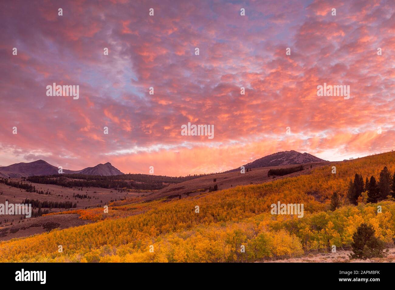 Sunset, Conway Summit, Mt. Warren, Gilcrest Peak, Inyo National Forest ...