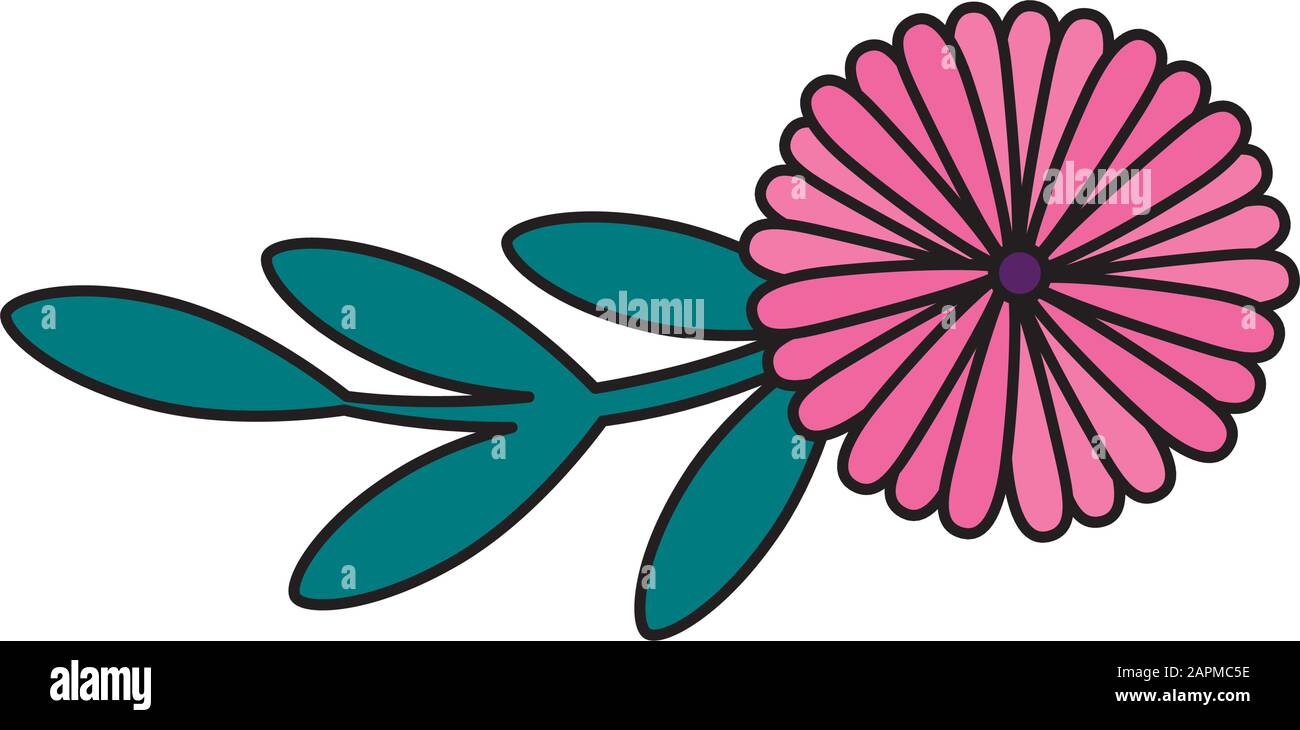 cute flower with branch and leafs isolated icon Stock Vector Image ...