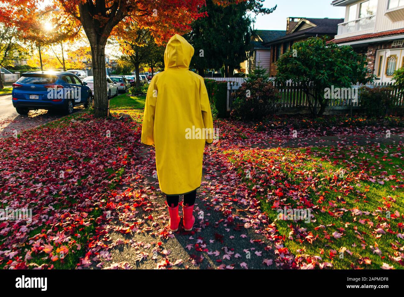 Yellow cloak hi-res stock photography and images - Alamy