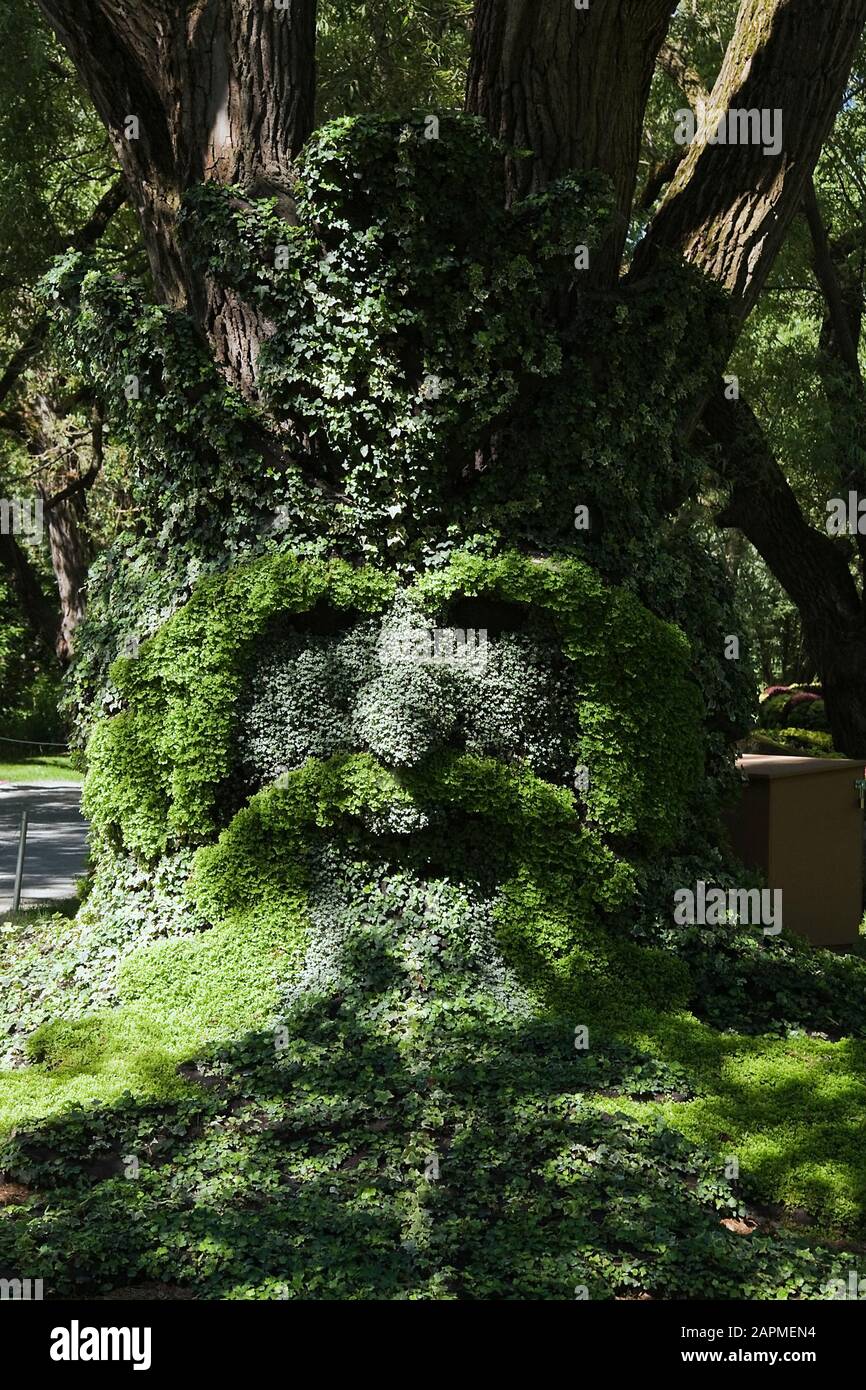 Living plant sculpture called 'Spirits of the Woods-The Green Man ...