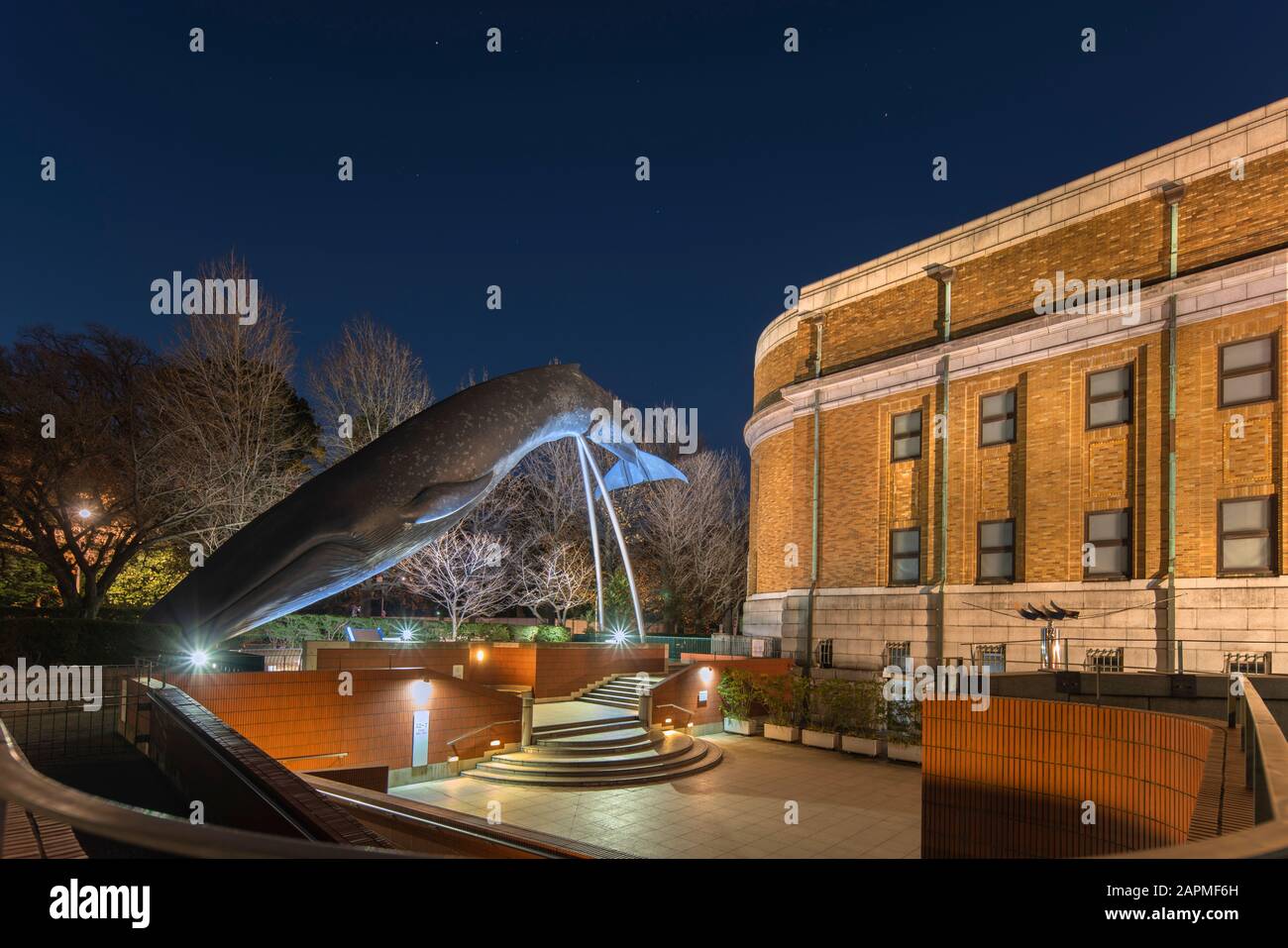 Tokyo national museum sculpture hi-res stock photography and images - Alamy