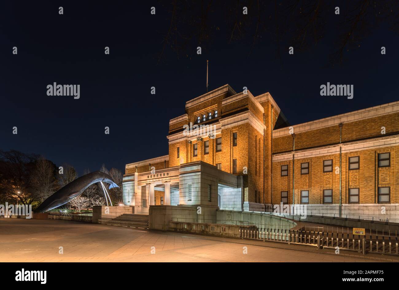 Blue Whale Statue High Resolution Stock Photography and Images - Alamy