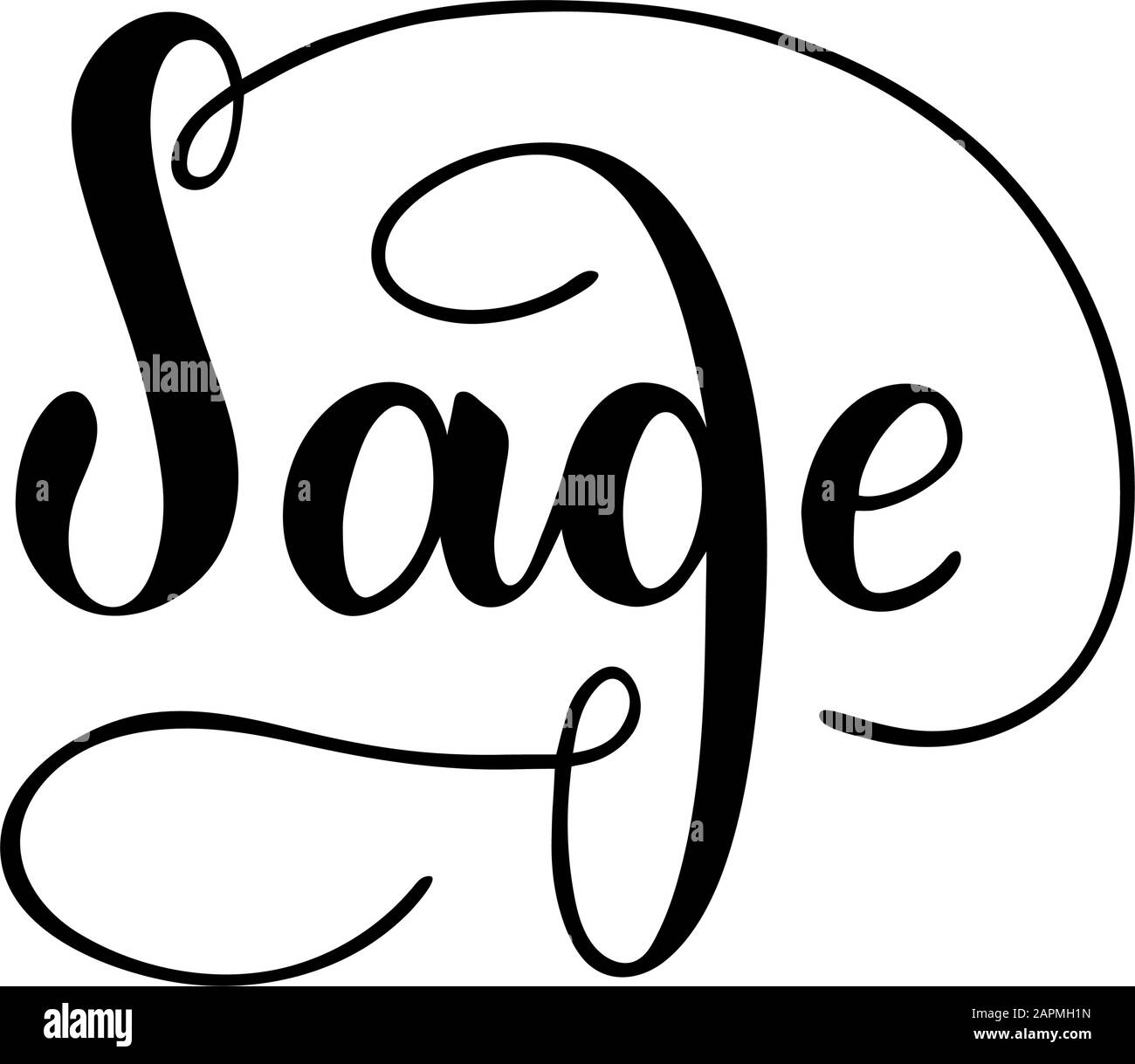 Vector hand written sage text isolated on white background. Kitchen ...