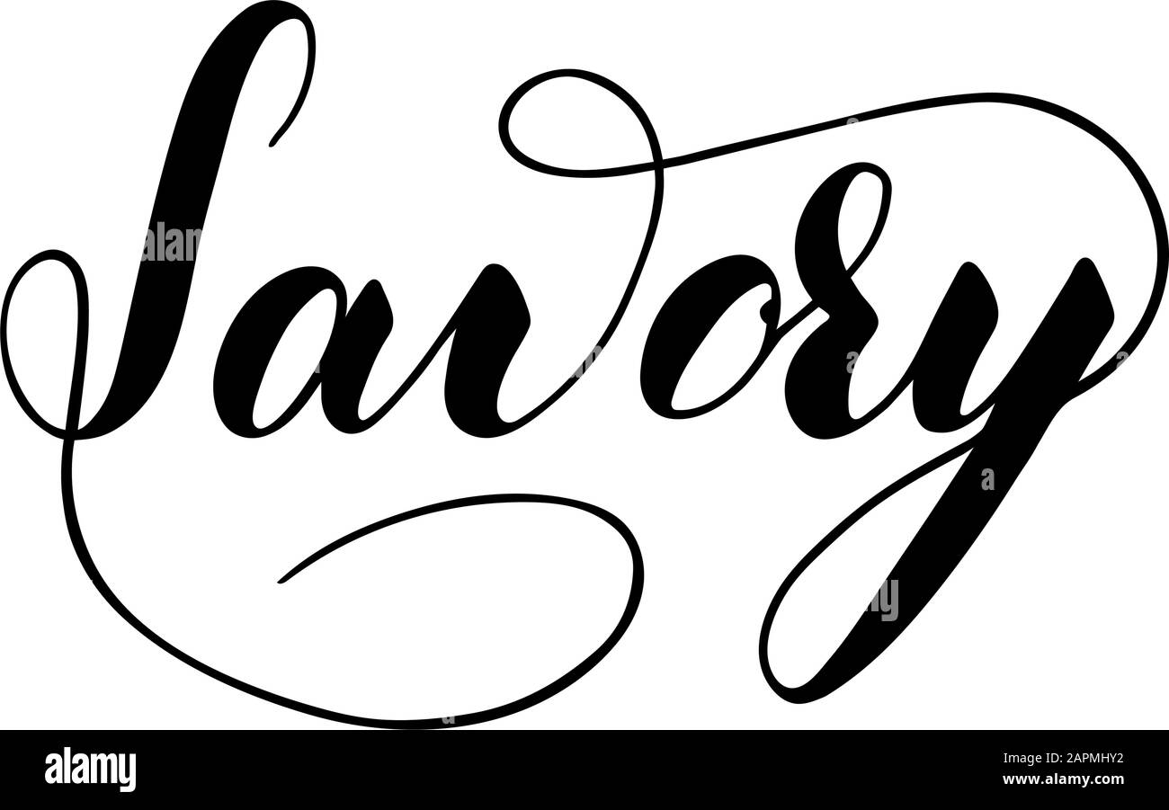 Vector hand written savory text isolated on white background. Kitchen ...