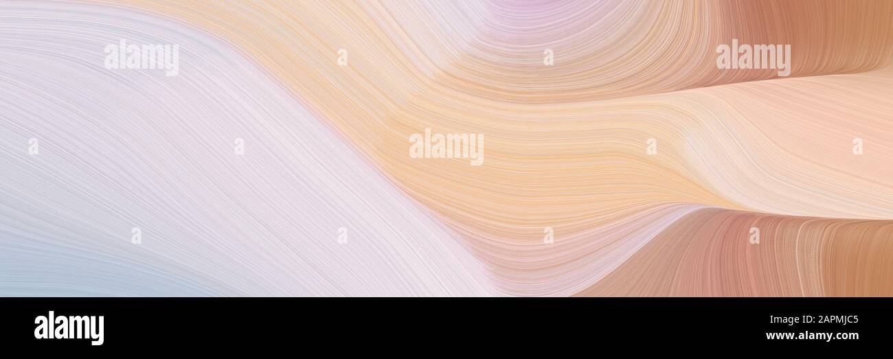 decorative header design with light gray, rosy brown and burly wood ...