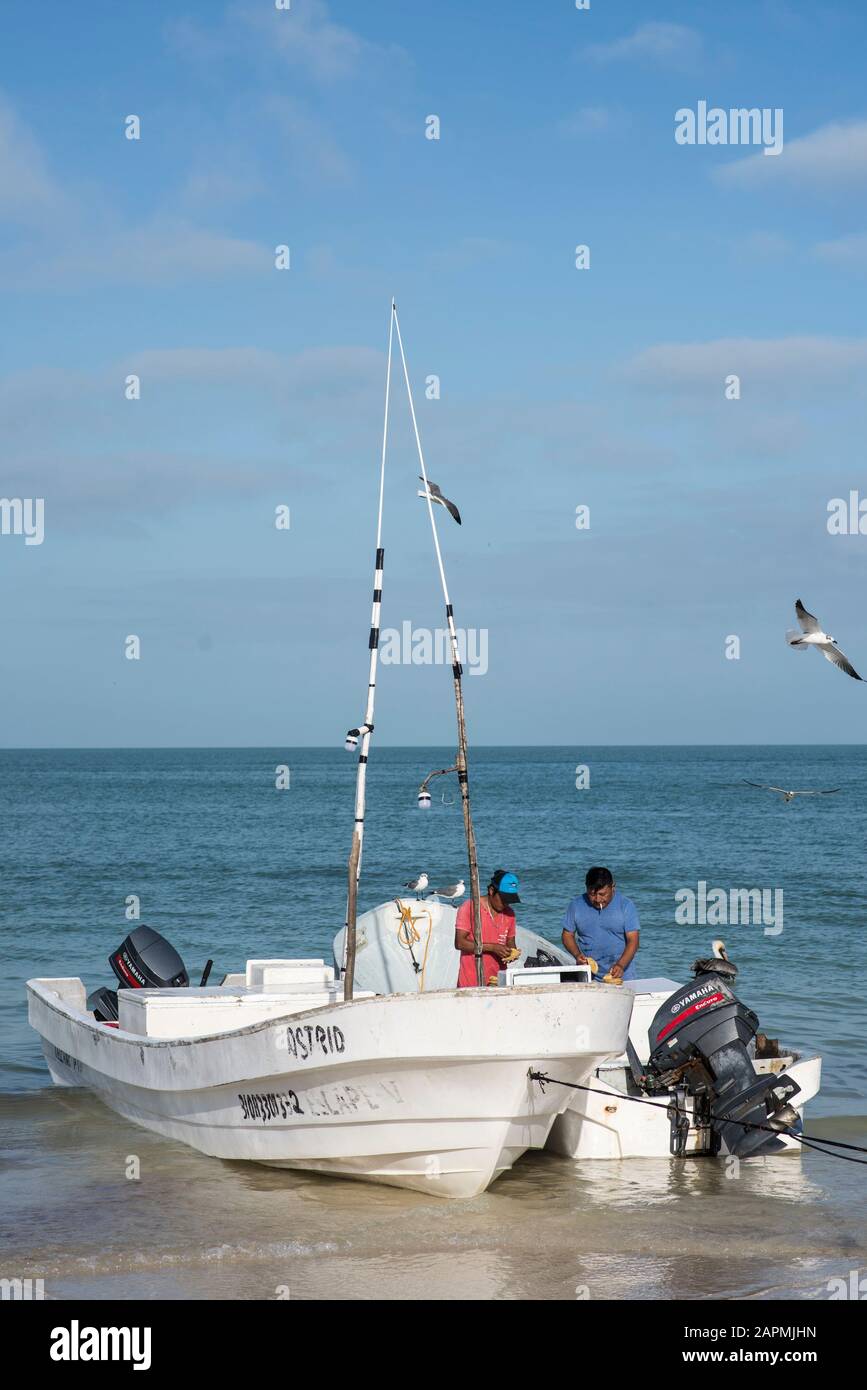 Mexico celestun fish hi-res stock photography and images - Alamy