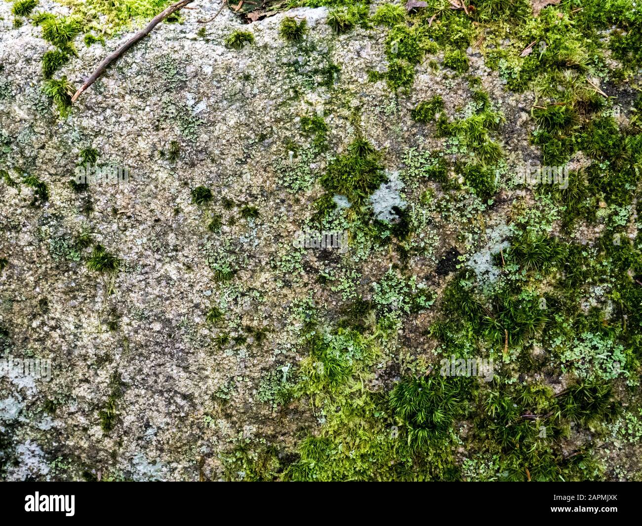 Beautiful colorful texture of natural stone Stock Photo - Alamy