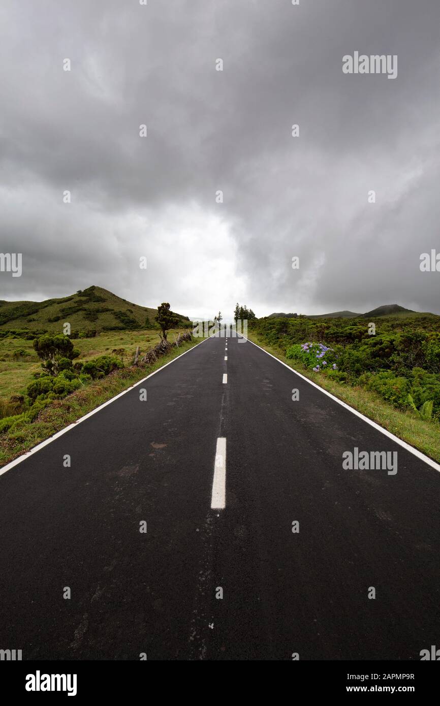 Portrait of the extremely straight EN3 road on Pico island in the ...