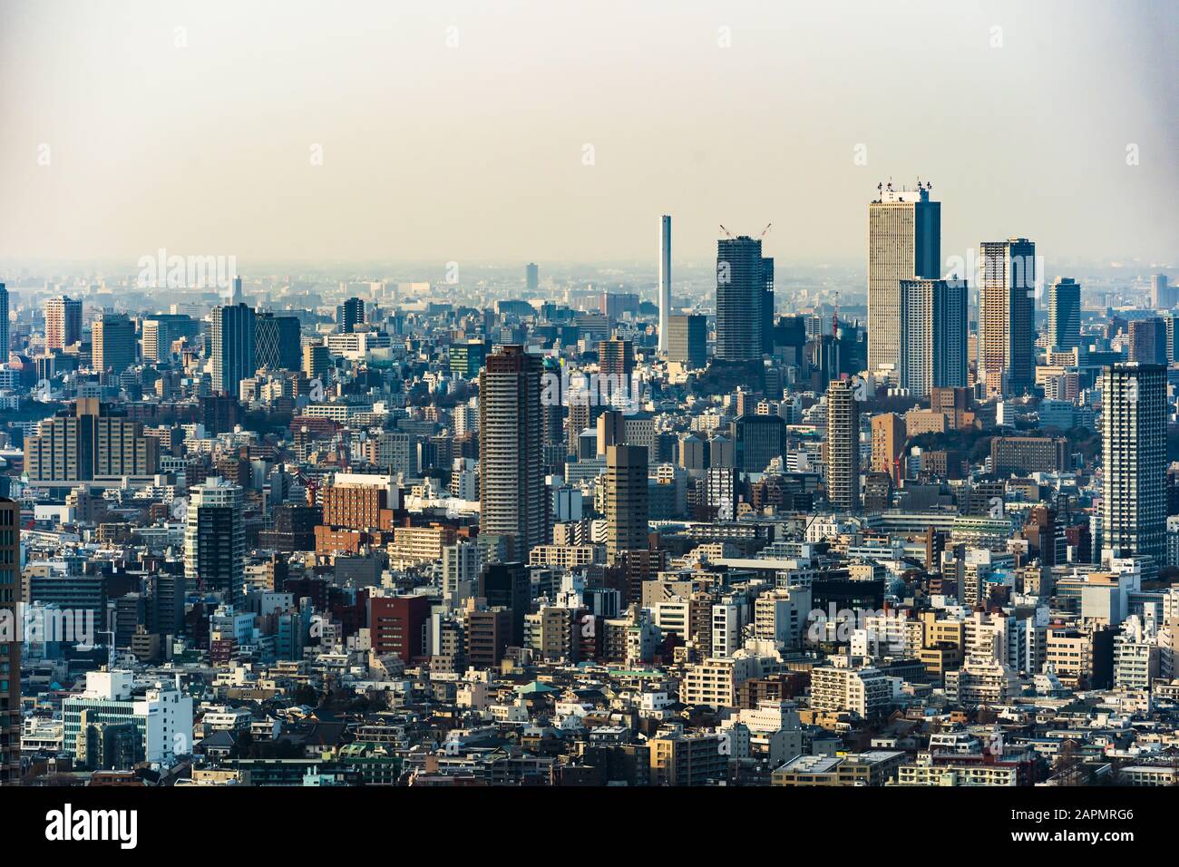 landscape of Tokyo city, Japan Stock Photo - Alamy