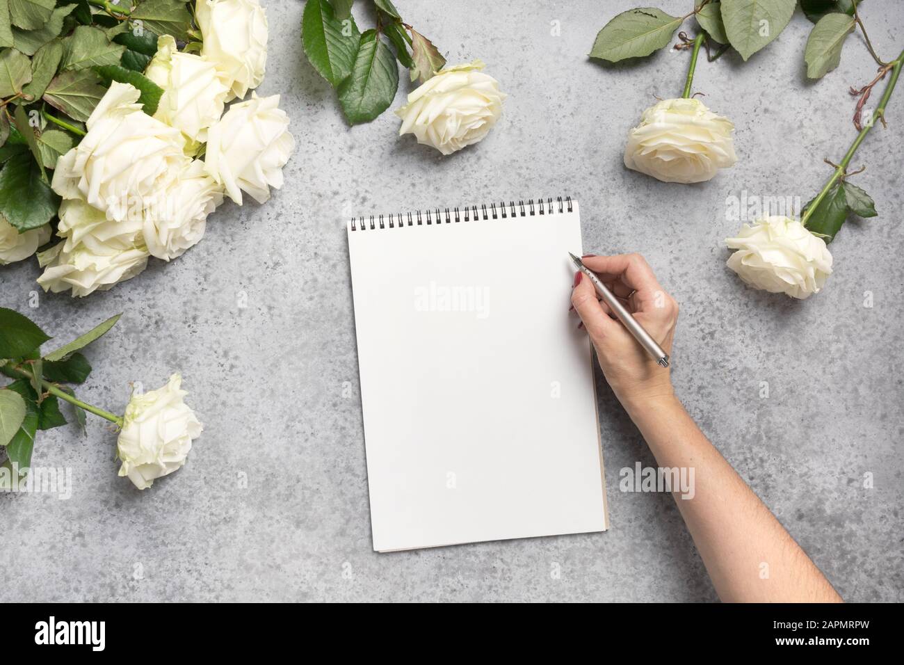 Womens hands writing hi-res stock photography and images - Alamy