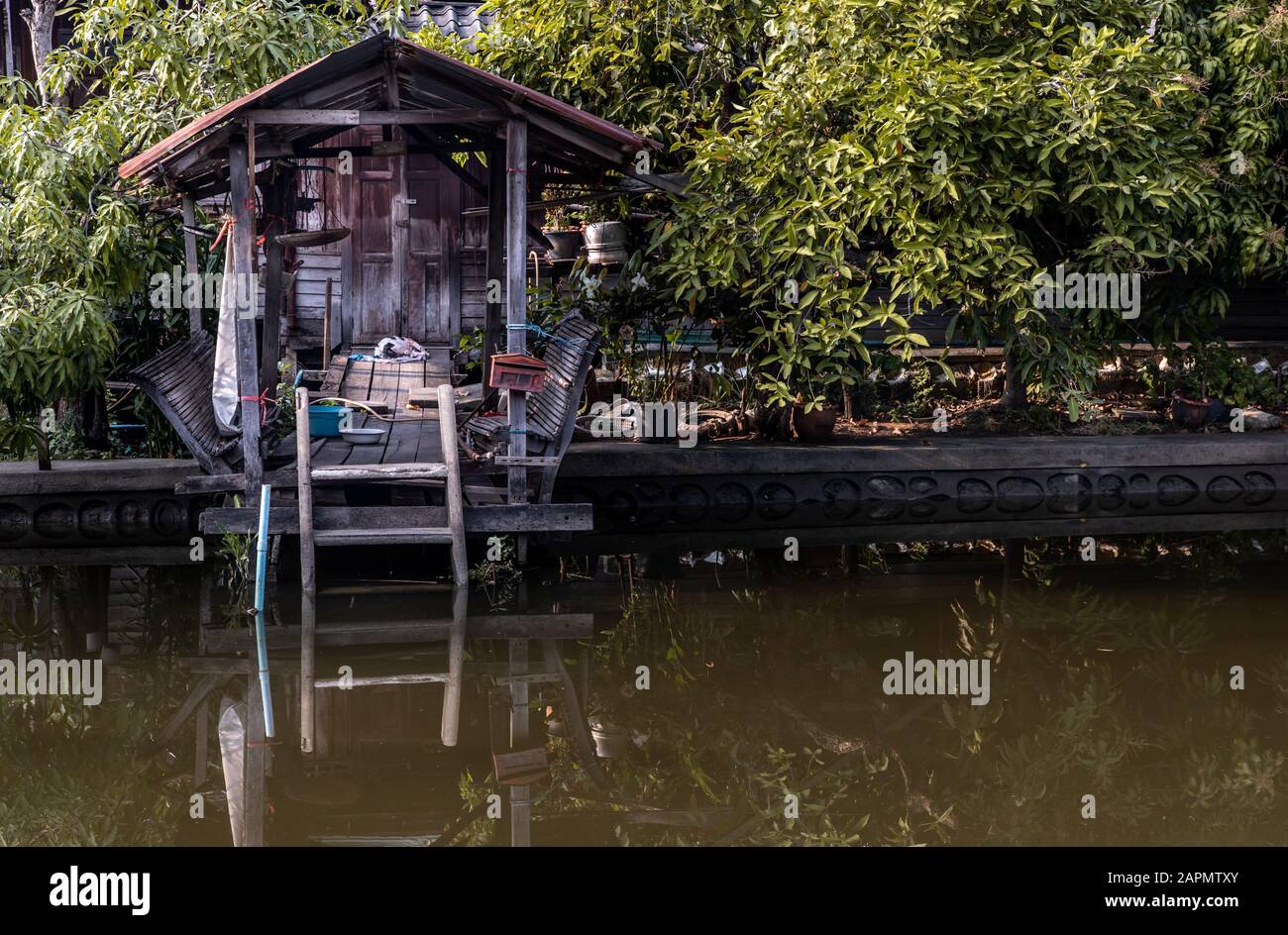 Large trees covering home hi-res stock photography and images - Alamy