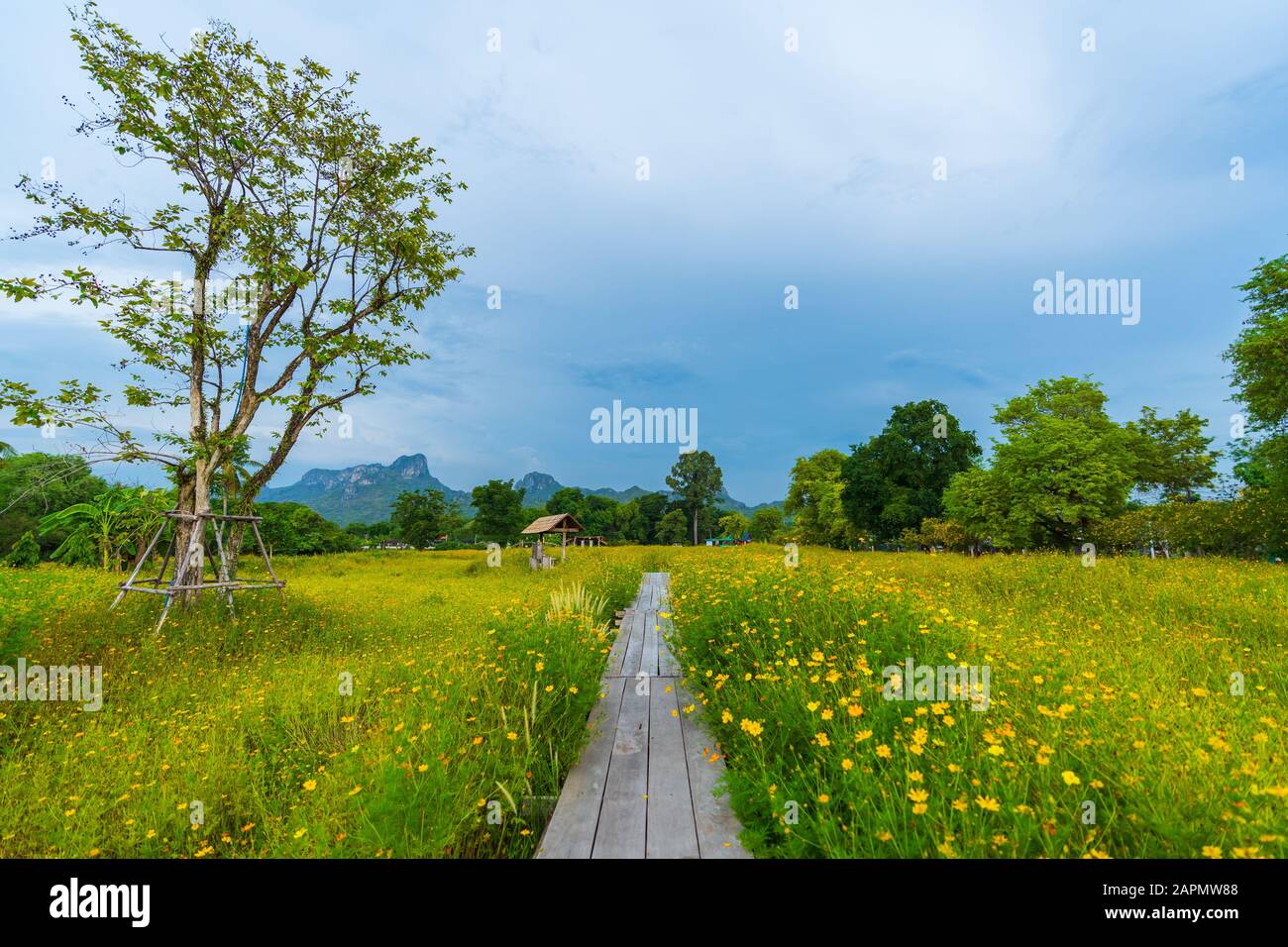 Flower field and bridge hi-res stock photography and images - Alamy