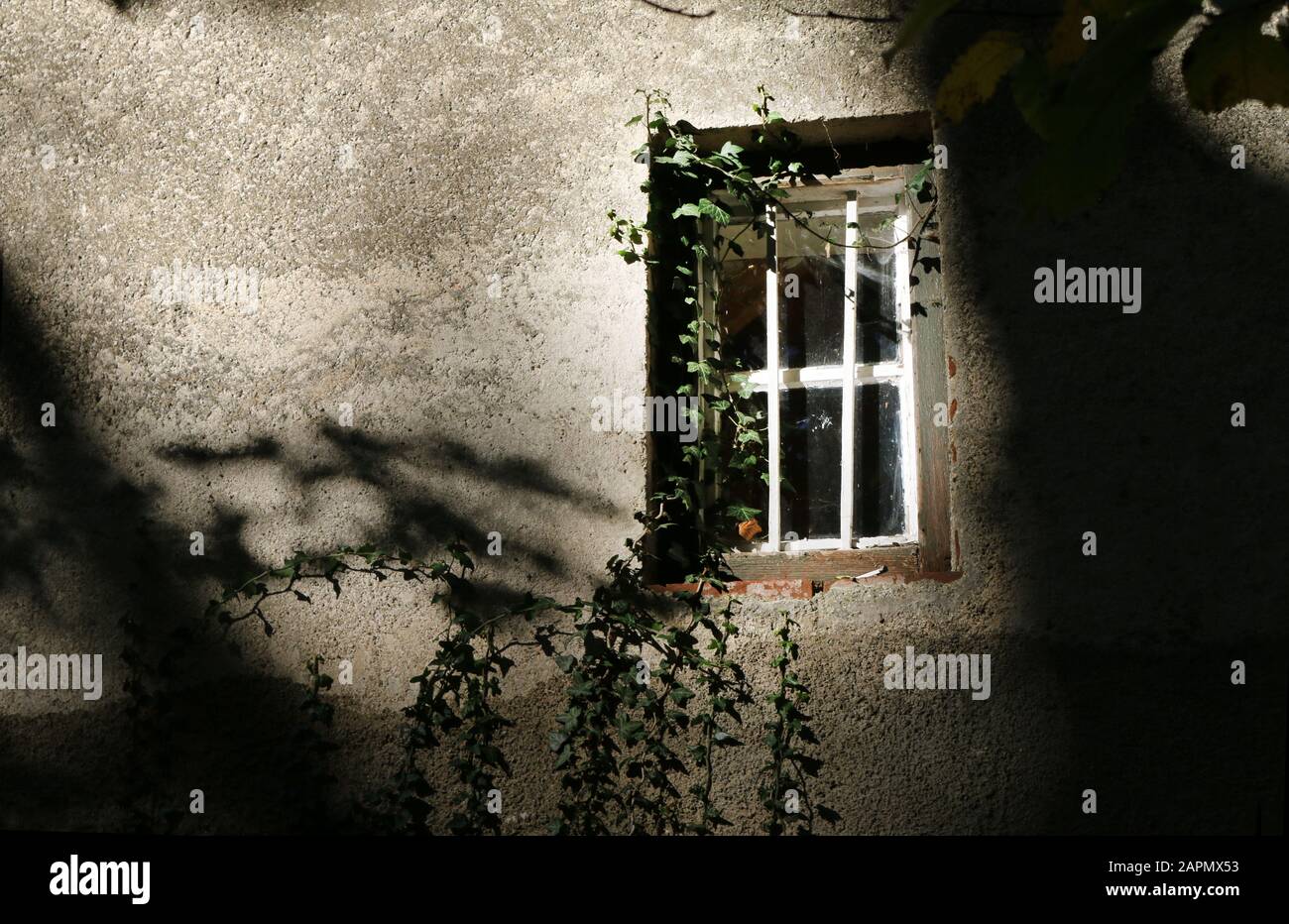 Dark corner with window and shadows Stock Photo - Alamy