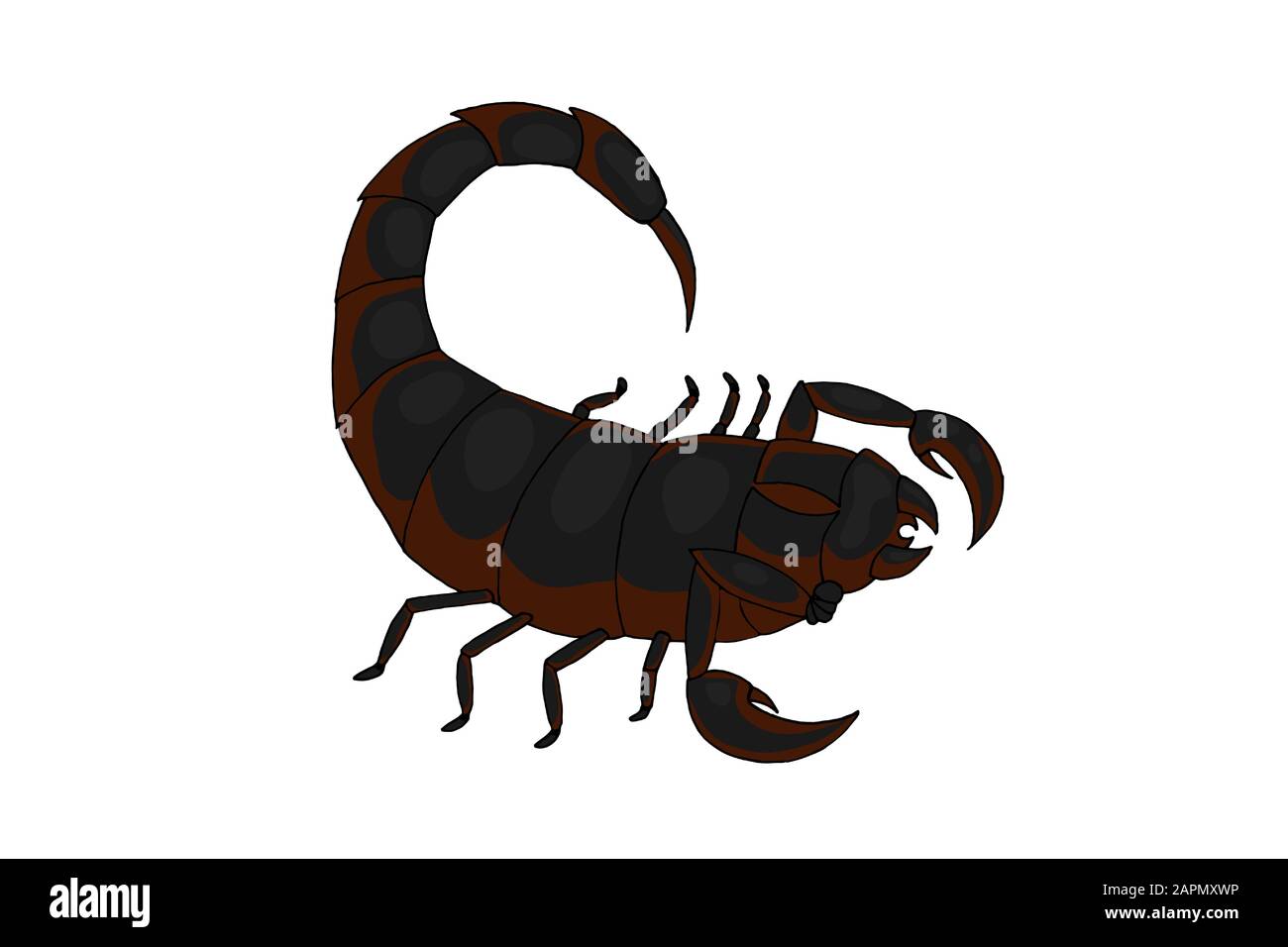 Desert scorpio Stock Vector Images - Alamy