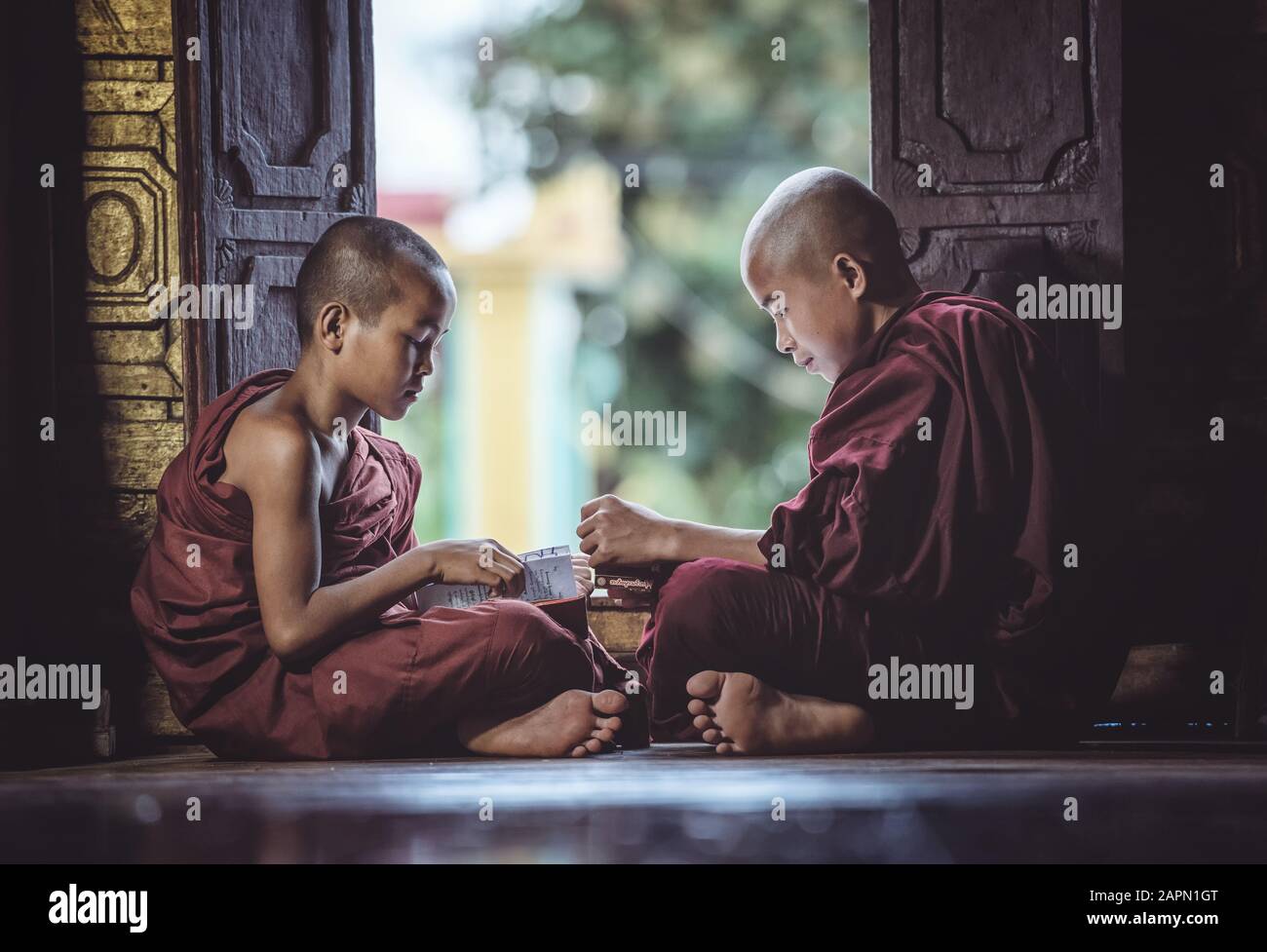 Novice monk study in temple by read a book, Shan state temple in ...