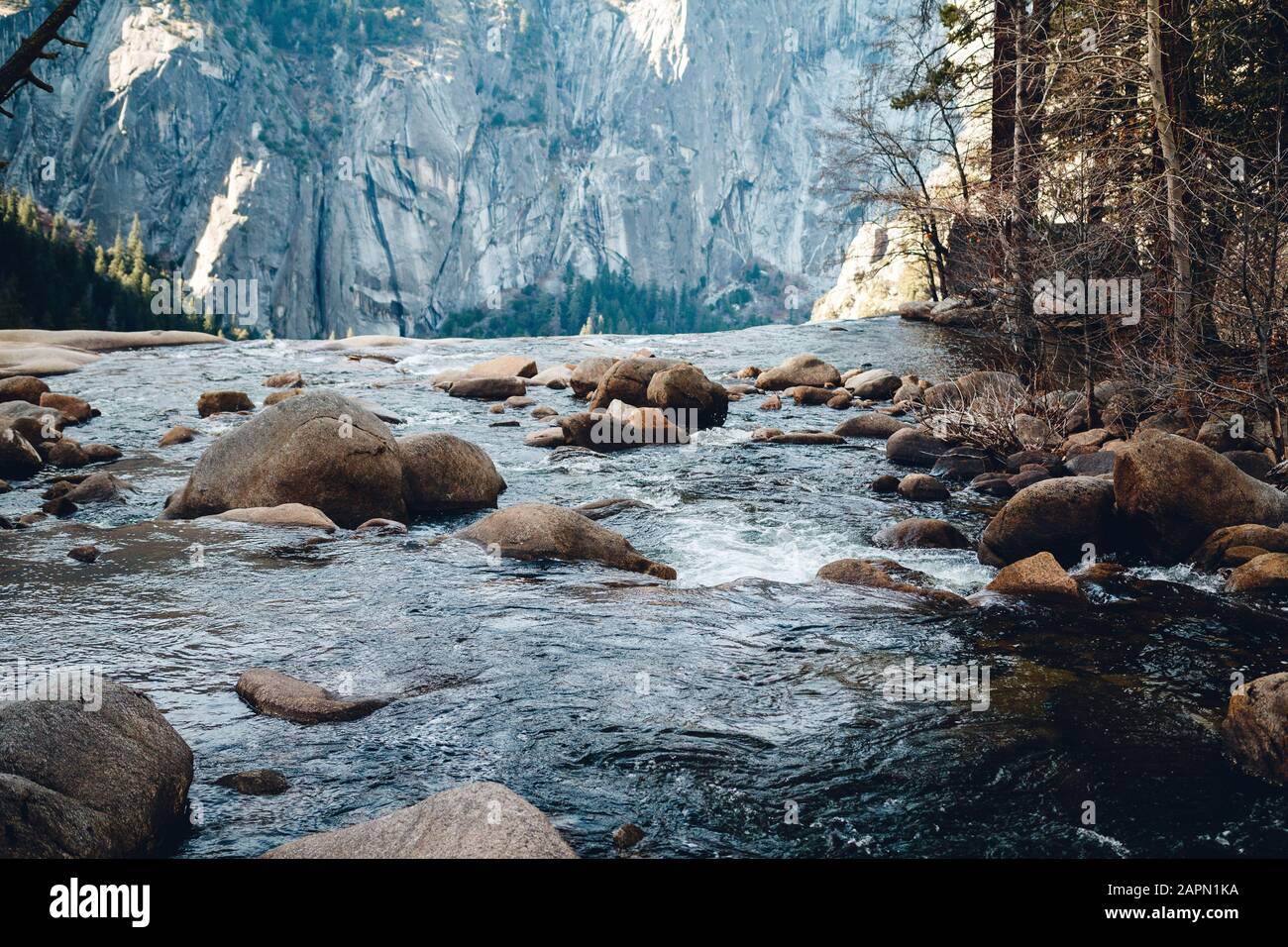River surrounded by rocks and greenery under the sunlight in the ...