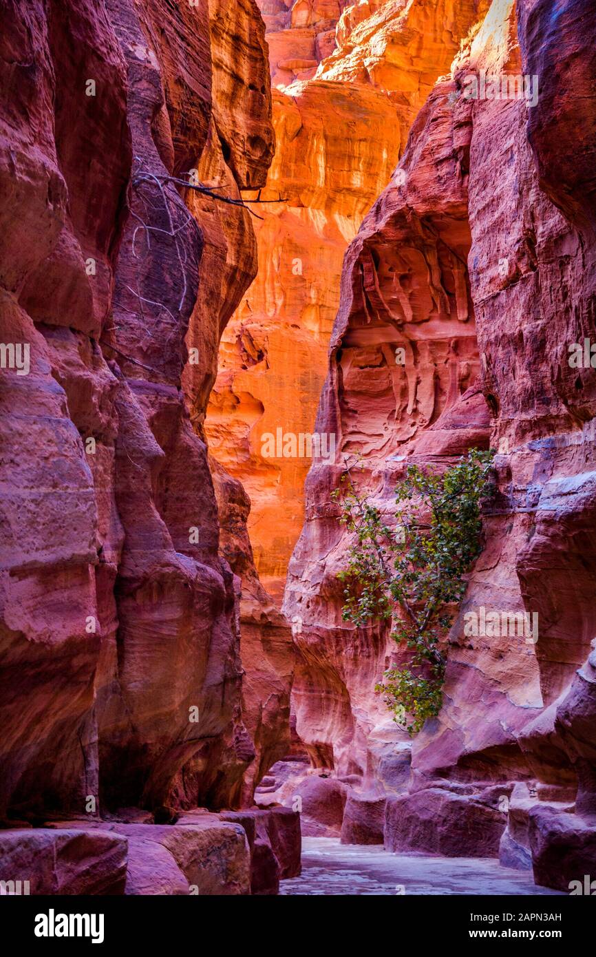 Fight for life hi-res stock photography and images - Alamy