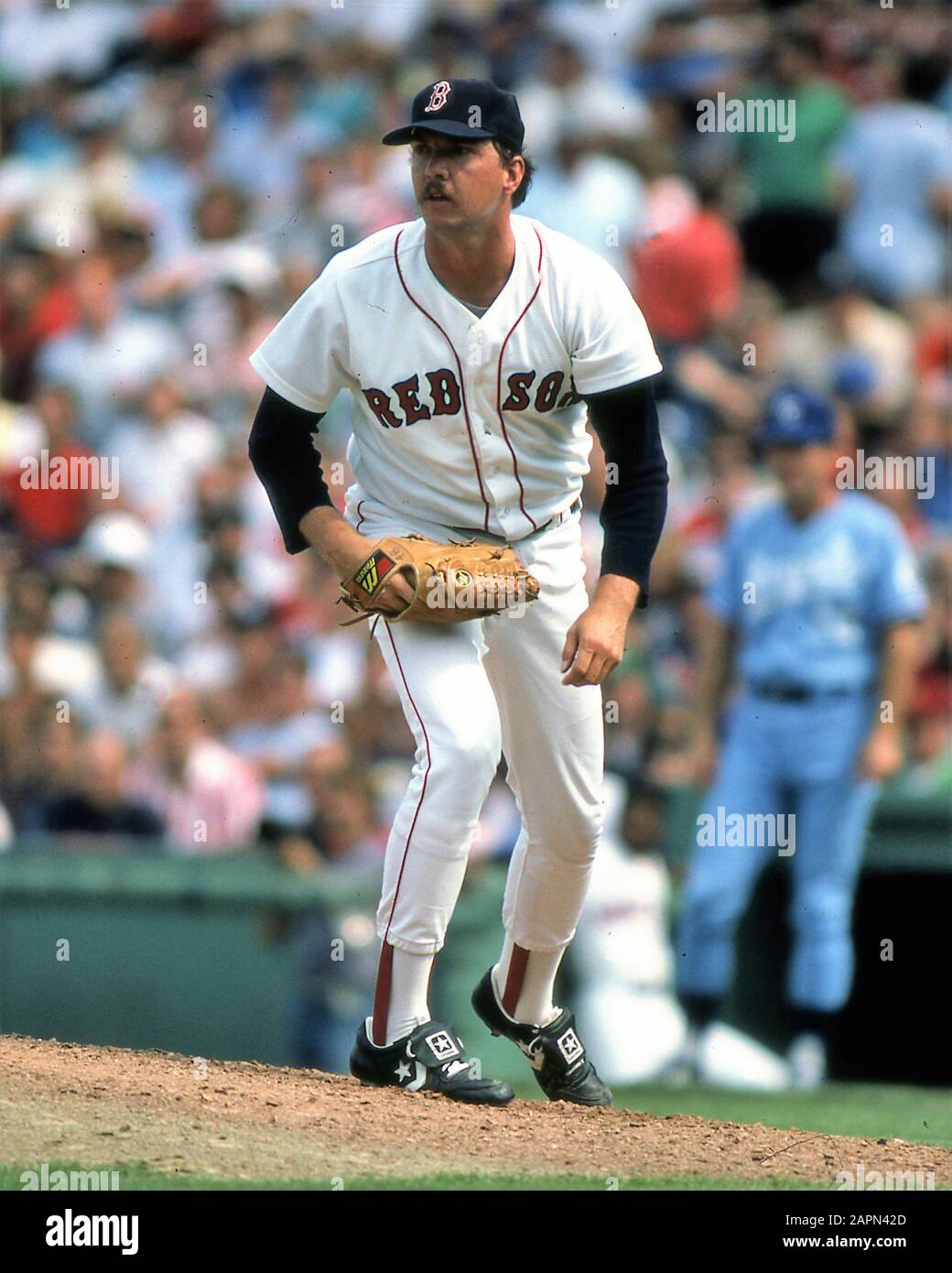 Tim lollar hi-res stock photography and images - Alamy