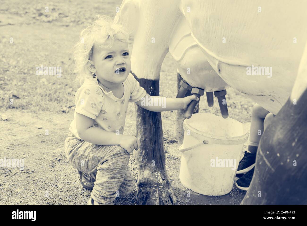 Cute blonde girl learning how to milk a cow on milking simulator Stock ...