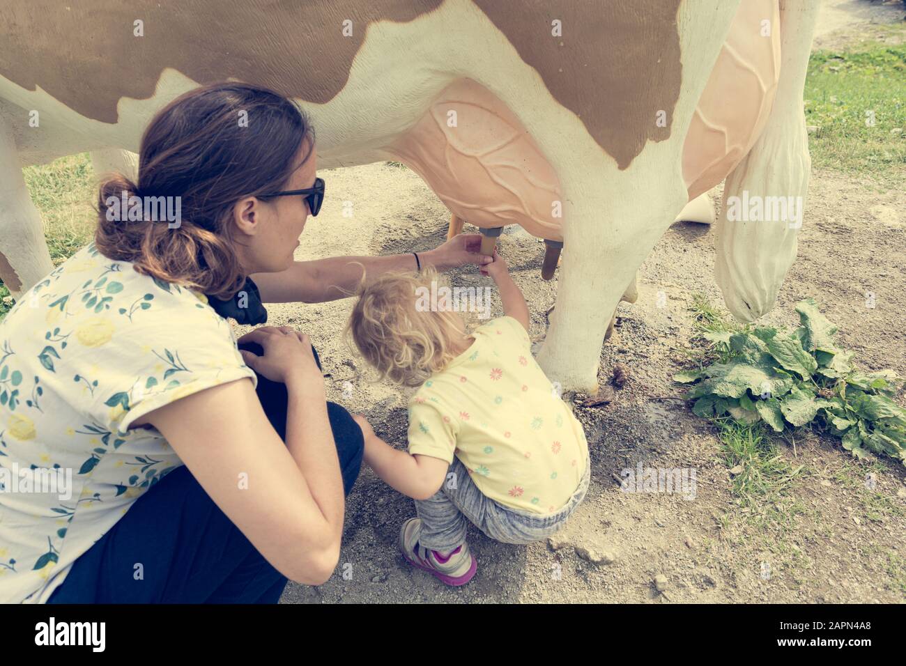 Cute blonde girl learning how to milk a cow on milking simulator with ...