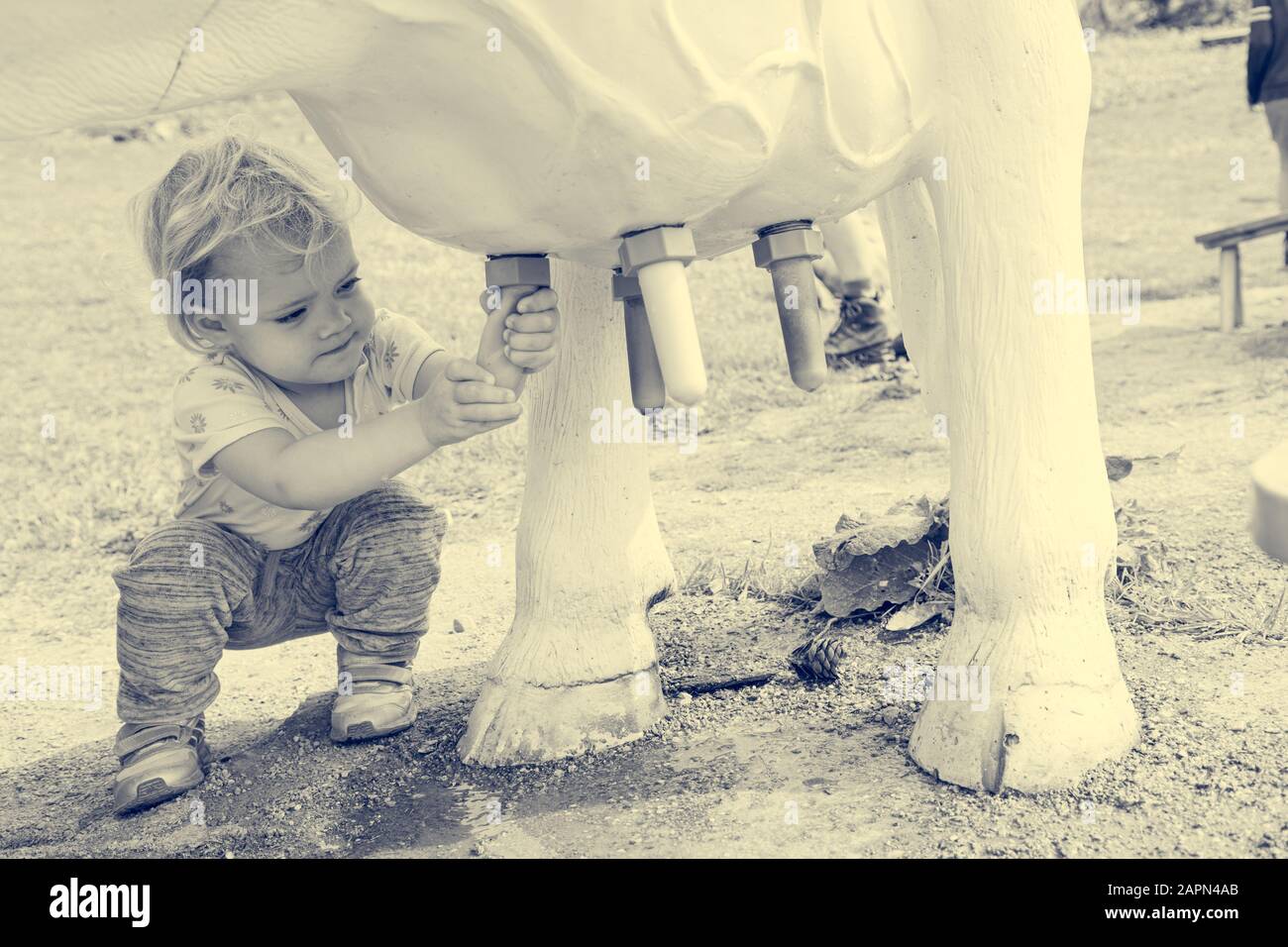 Cute blonde girl learning how to milk a cow on milking simulator Stock ...