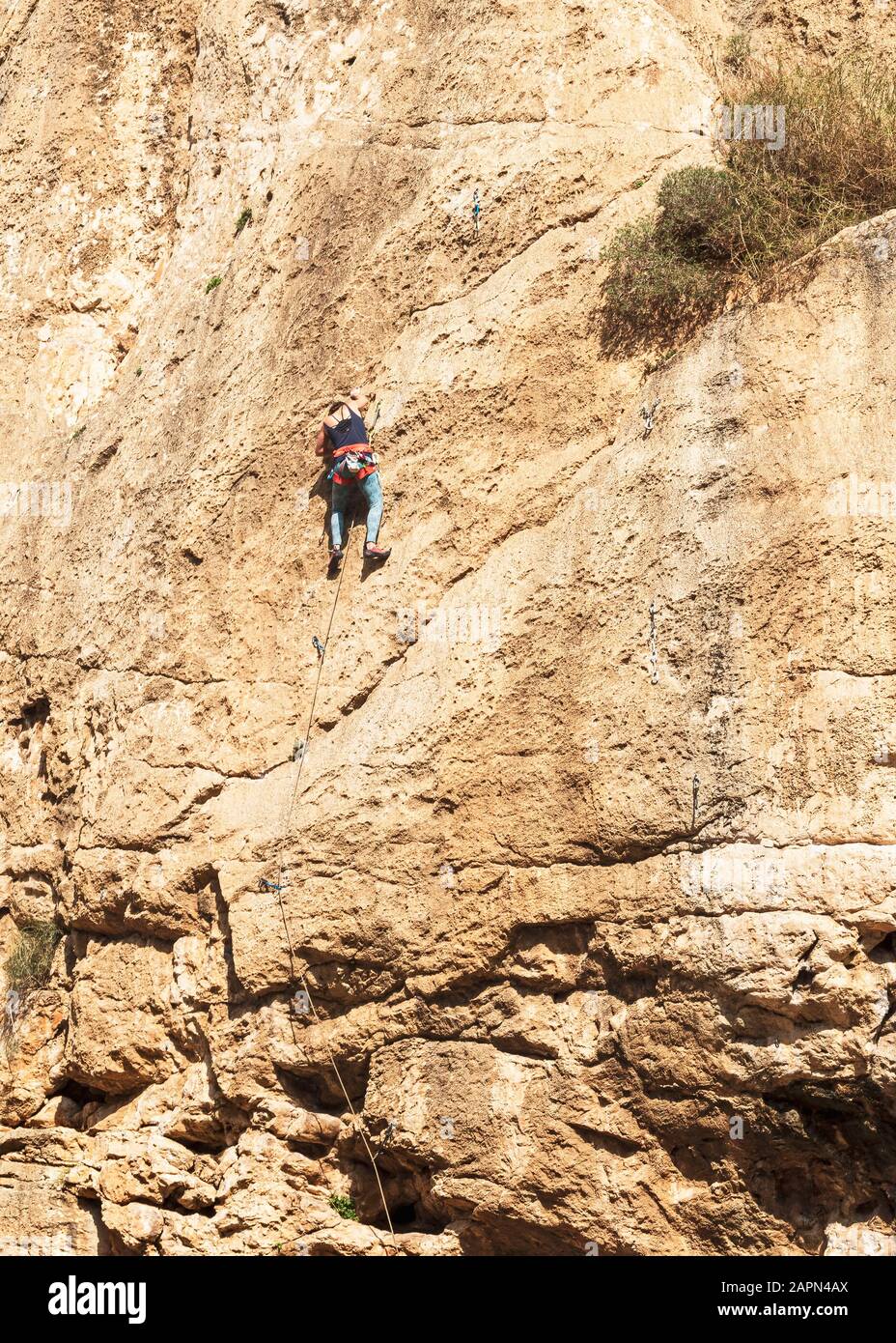 closeup of a female climber on a sheer vertical limestone cliff near ...