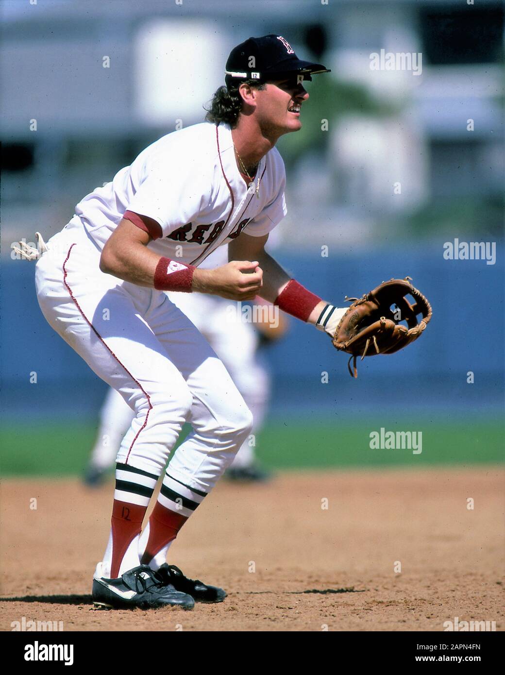 Steve Stephen John Lyons, MLB baseball TV commentator played infielder ...