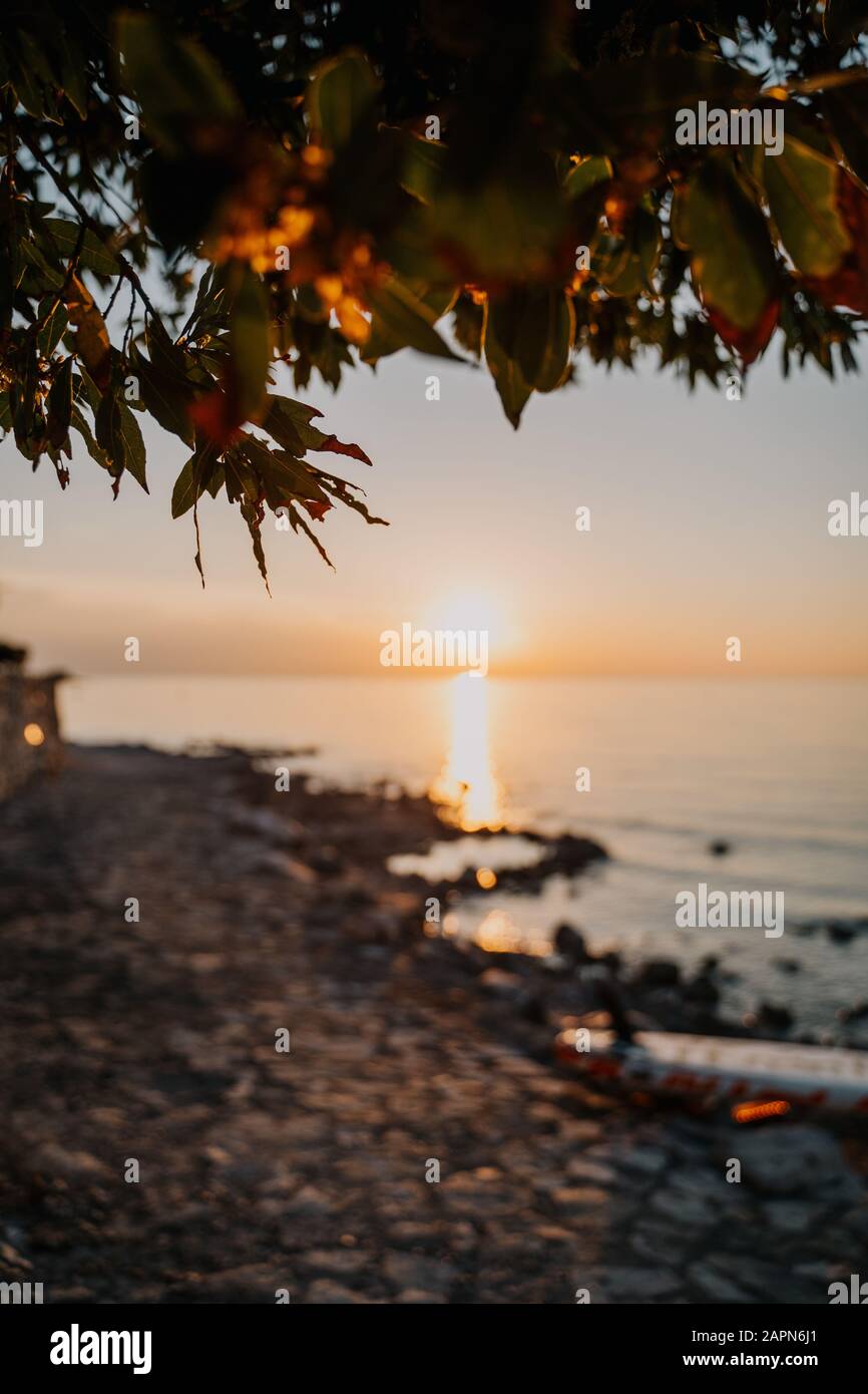 Beautiful sun seen under tree hi-res stock photography and images - Alamy