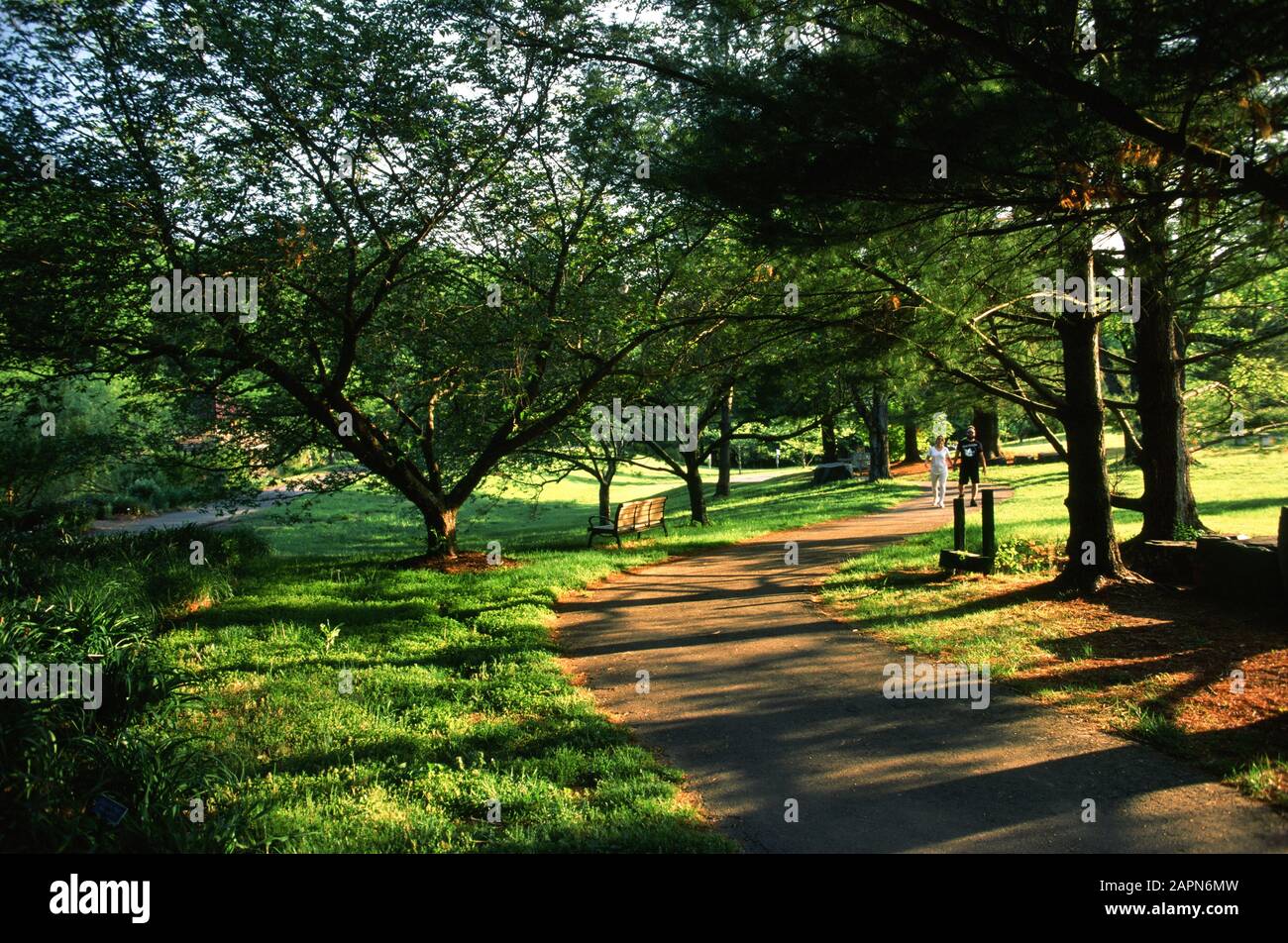 Pathway in the middle of the grassy field and green trees at the park ...
