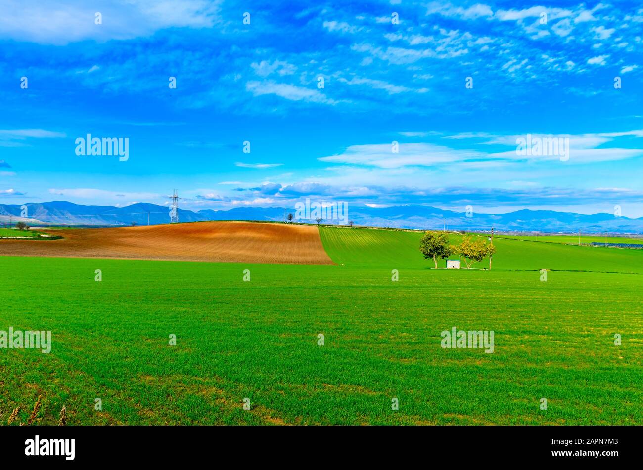 Wide rural flat valley with agricultural fields and lush green in ...