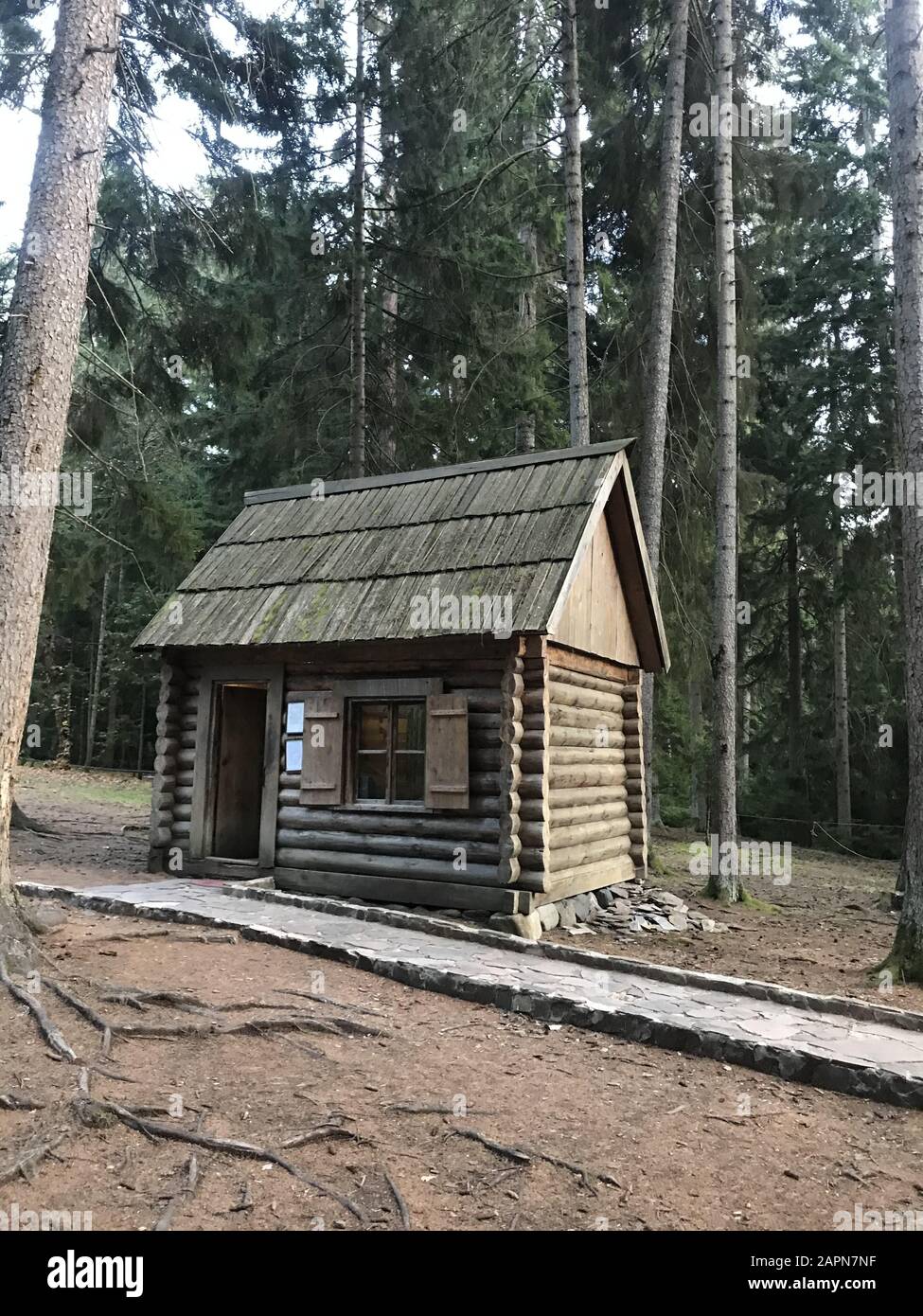 Vertical shot of a small wooden hut in the forest with tall trees Stock ...