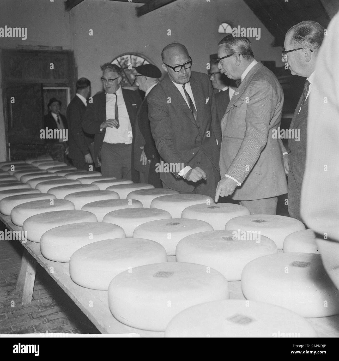 Regional cheese competition hi-res stock photography and images - Alamy