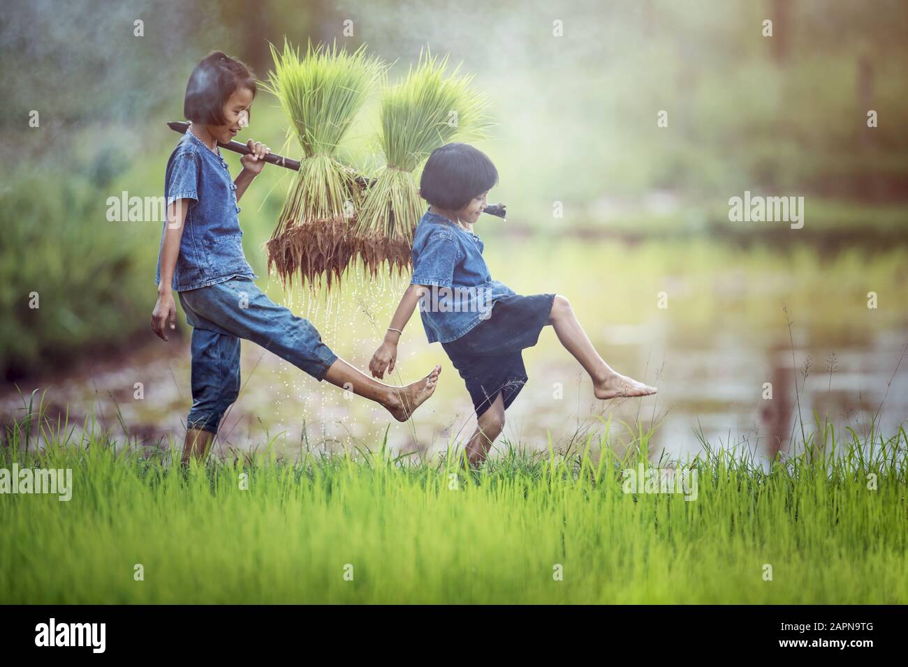 Asian children farmer on rice field Stock Photo - Alamy