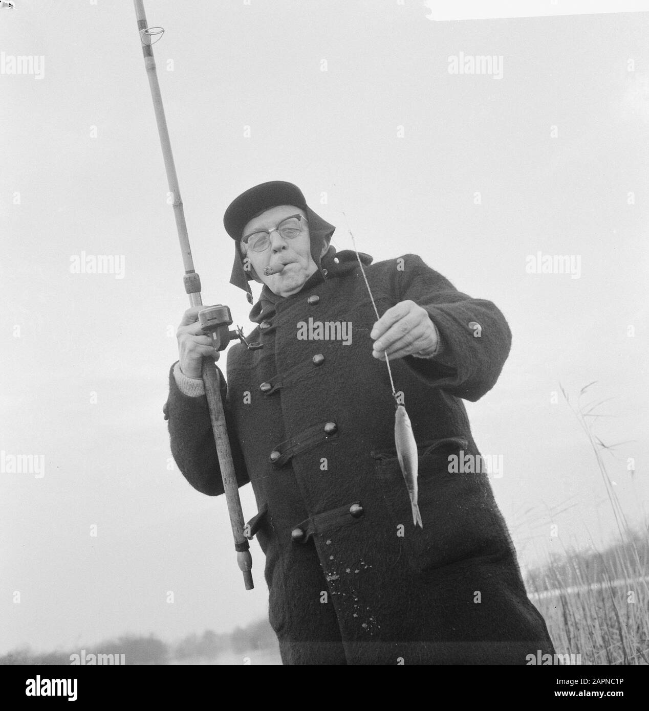Cigar fish hi-res stock photography and images - Alamy