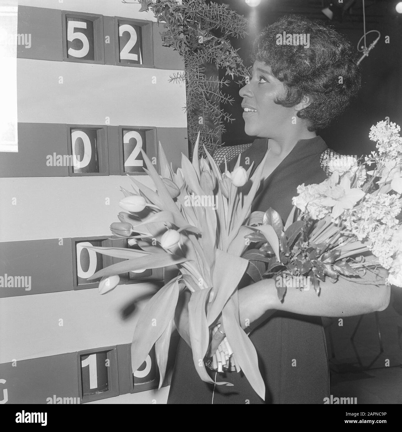 Milly scott wins hi-res stock photography and images - Alamy