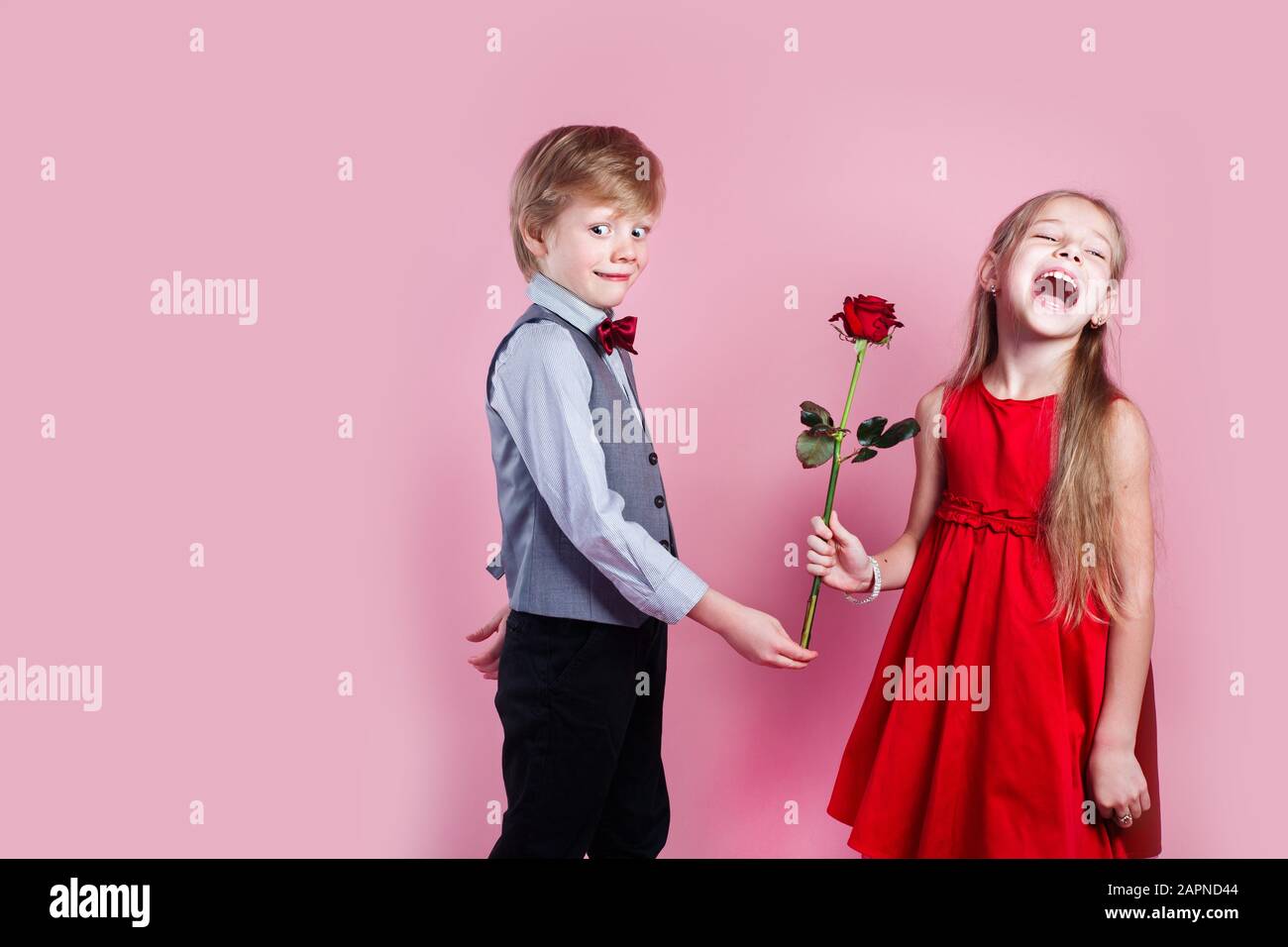 Funny little boy in love giving cute girl red rose , Valentines day ...