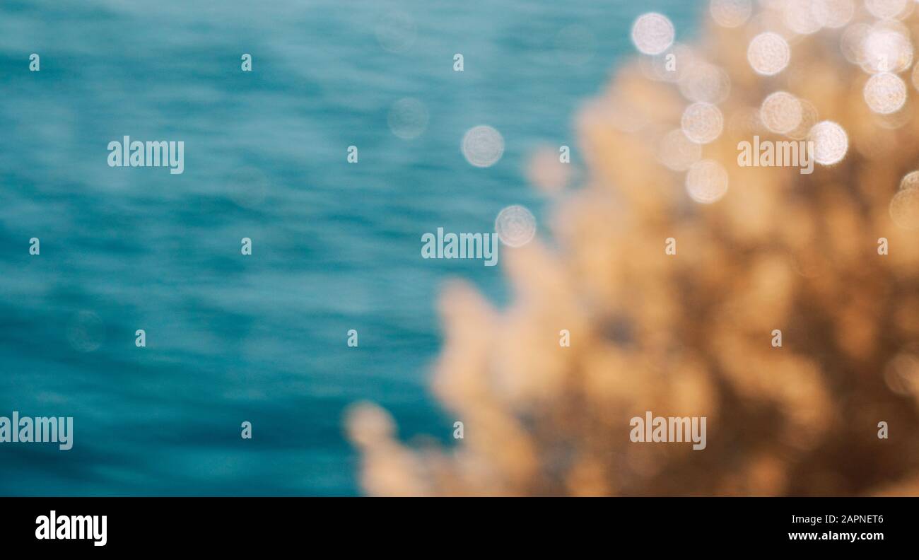 Blurred image of the lake at sunset. Background for design, advertising ...
