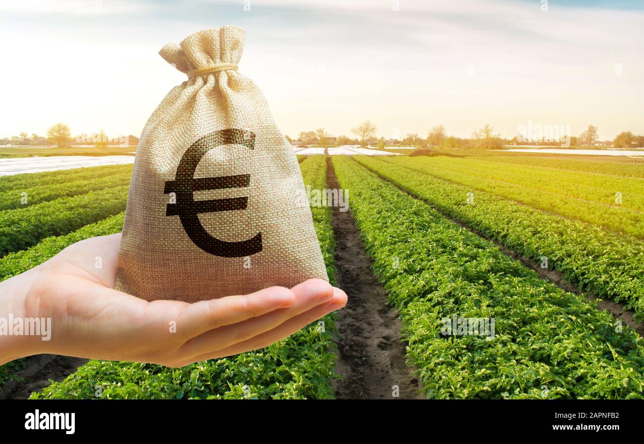 Money crops hi-res stock photography and images - Alamy