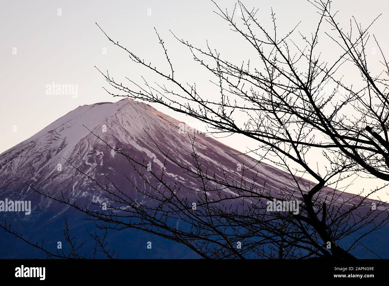 View of Mt. Fuji in sunny day. Mount Fuji has been a sacred site for ...
