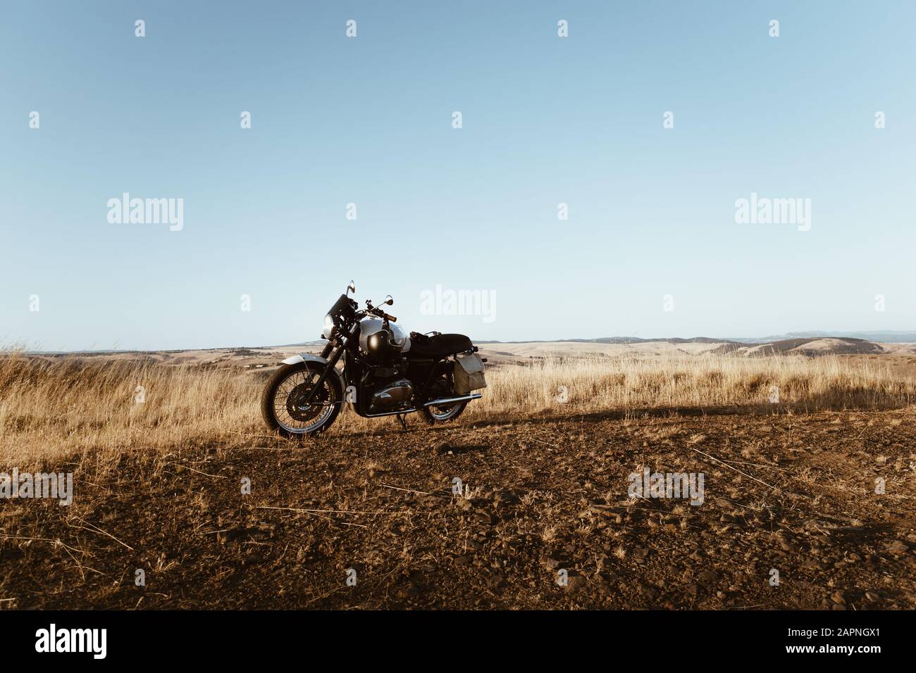 Stylish motorcyclist riding custom motorcycle hi-res stock photography ...