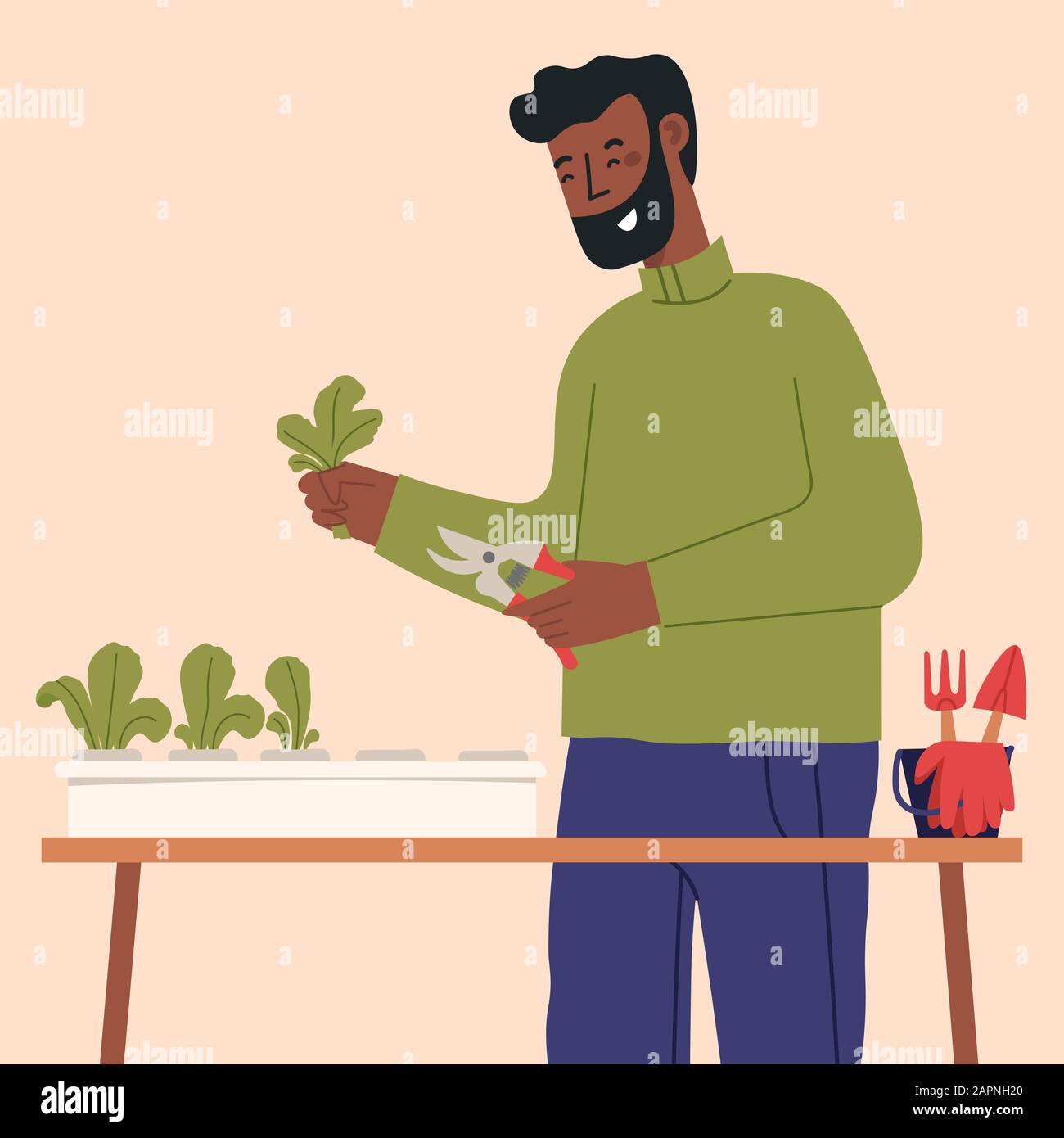 Fresh and easy Stock Vector Images - Alamy