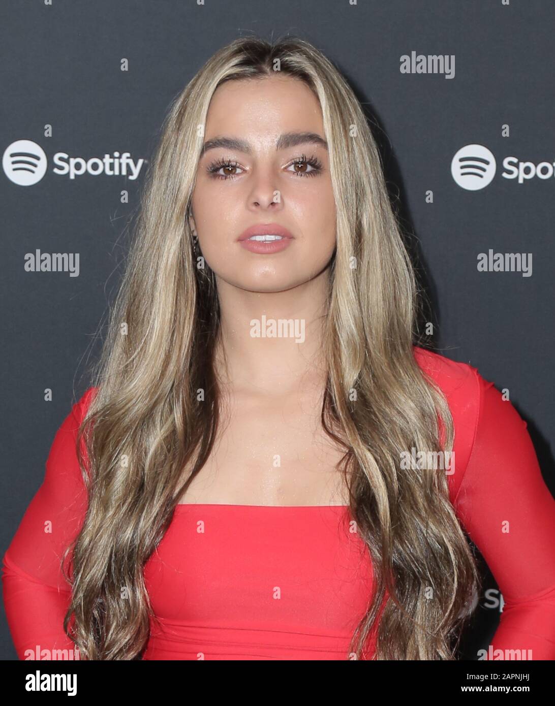 Los Angeles, USA. 23rd Jan, 2020. Addison Ray walking the red carpet at ...