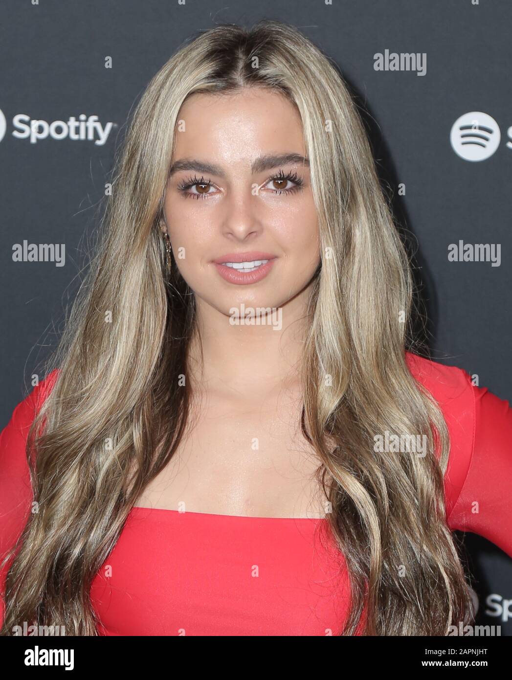 Los Angeles, USA. 23rd Jan, 2020. Addison Ray walking the red carpet at ...