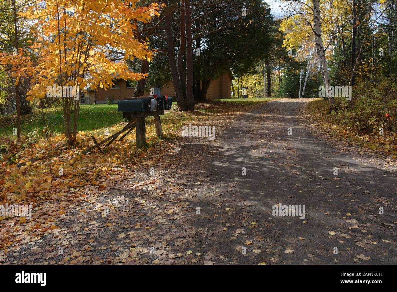 Rural laneway hi-res stock photography and images - Alamy