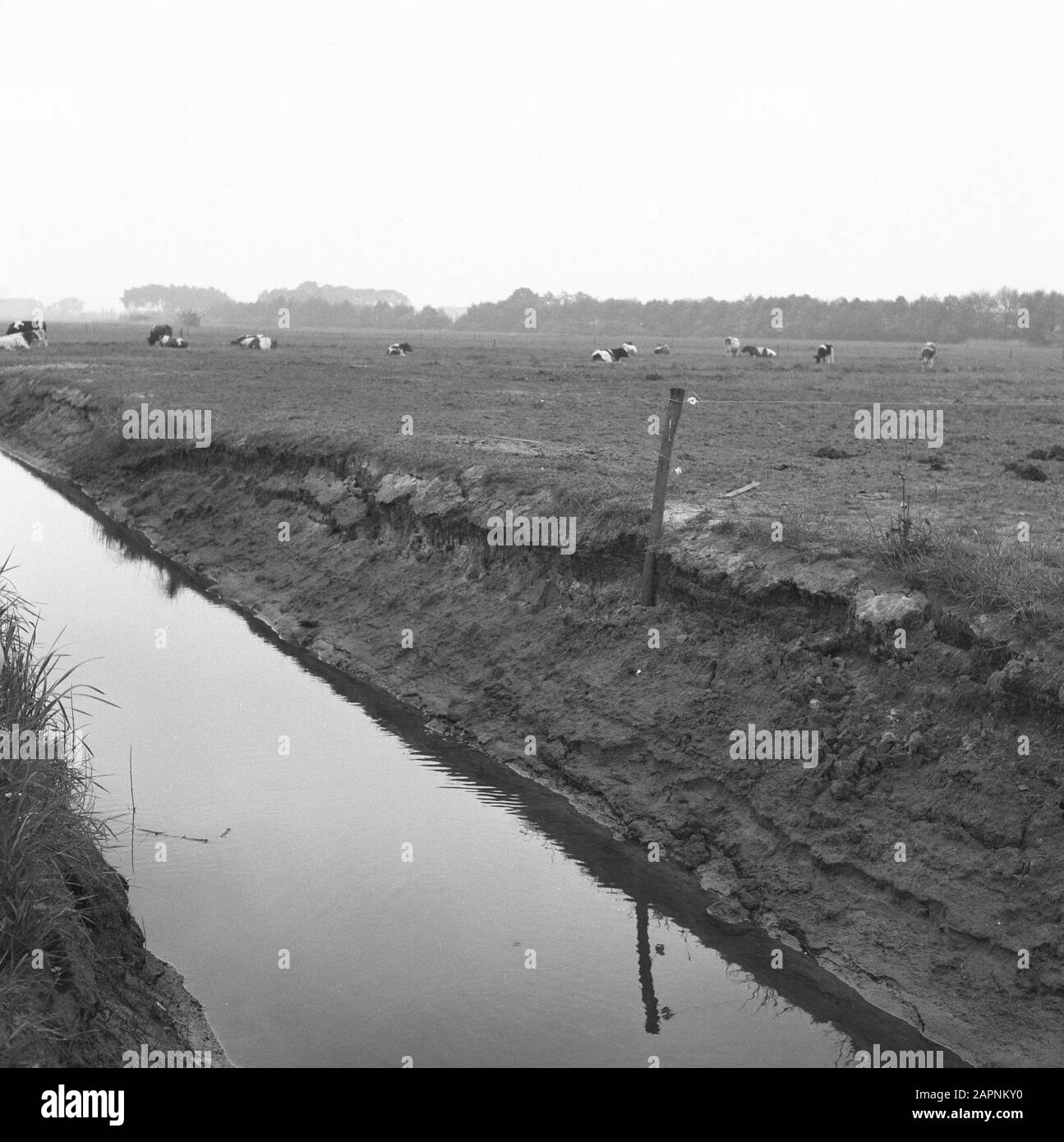 embankment left 1:1/right 1:2/dug in autumn 1962 Date: May 1963 ...